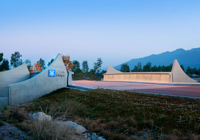 City of Hope Bridge by Atelier Vianney Boutry - Architizer