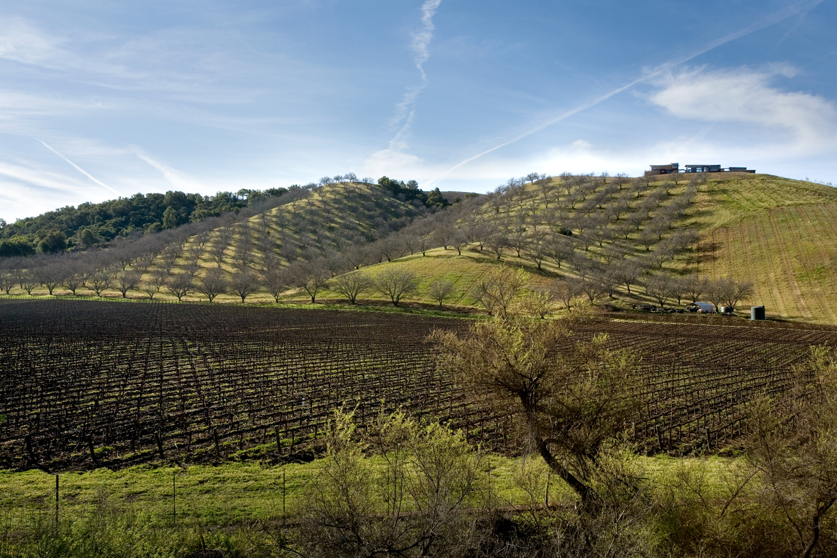 Kukkula Winery by Studio B Architecture + Interiors - Architizer