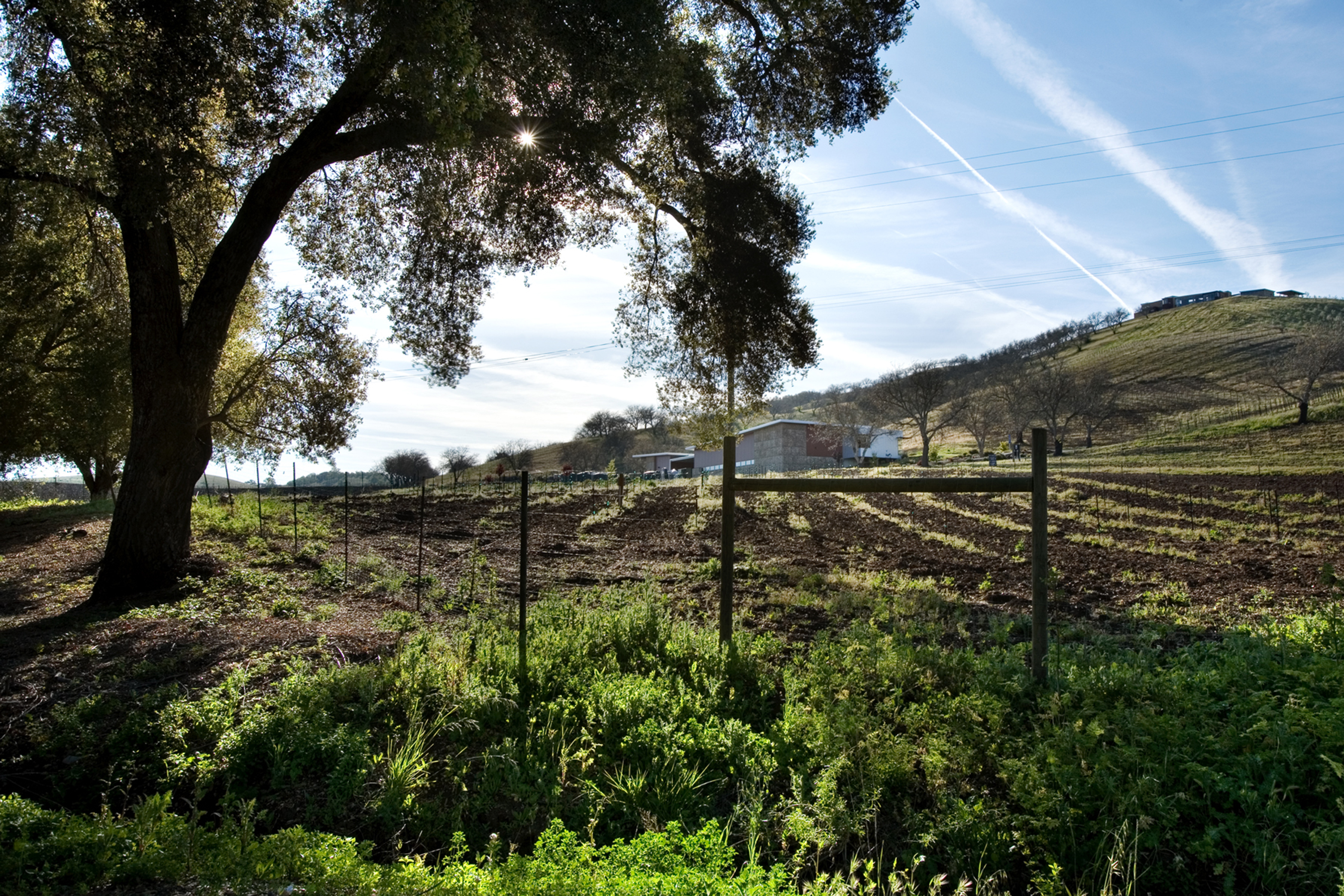 Kukkula Winery by Studio B Architecture + Interiors - Architizer