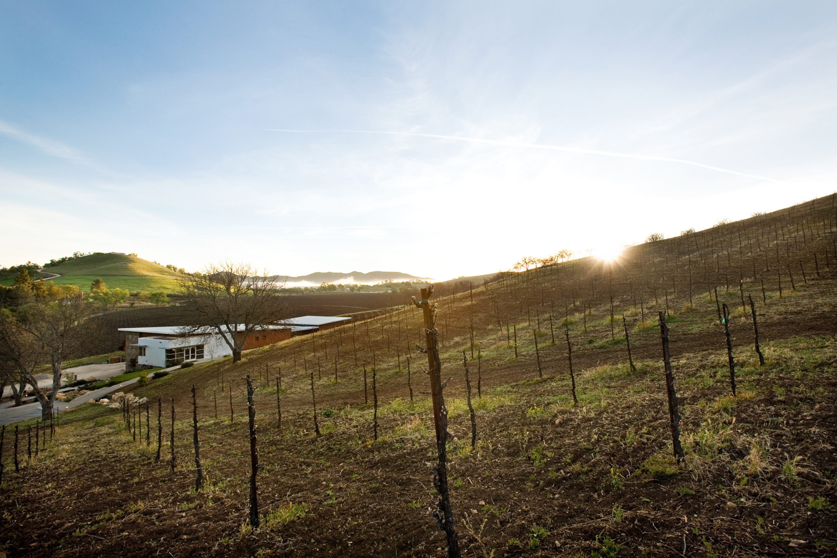 Kukkula Winery by Studio B Architecture + Interiors - Architizer