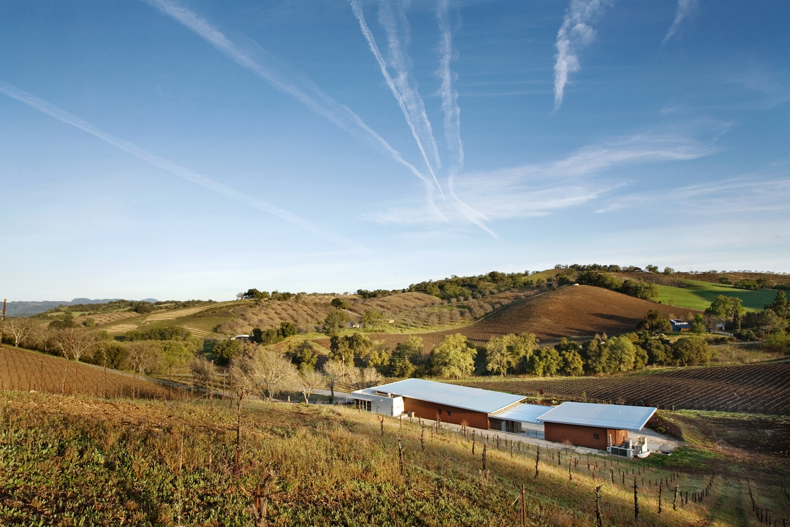Kukkula Winery by Studio B Architecture + Interiors - Architizer