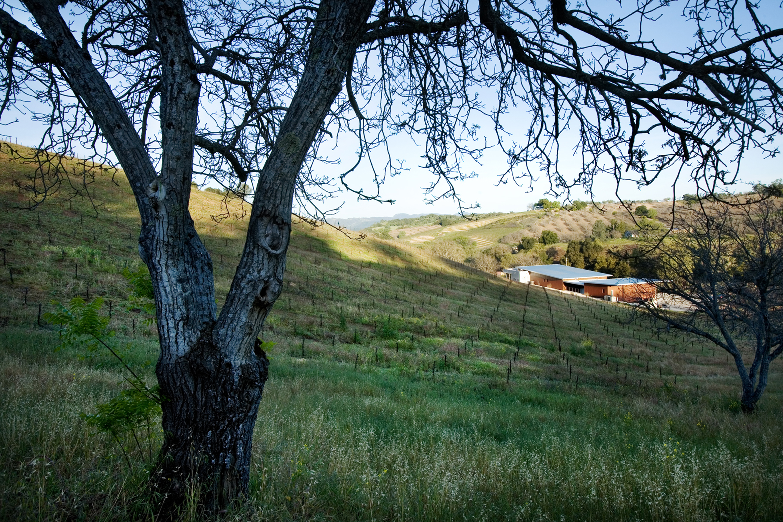 Kukkula Winery by Studio B Architecture + Interiors - Architizer