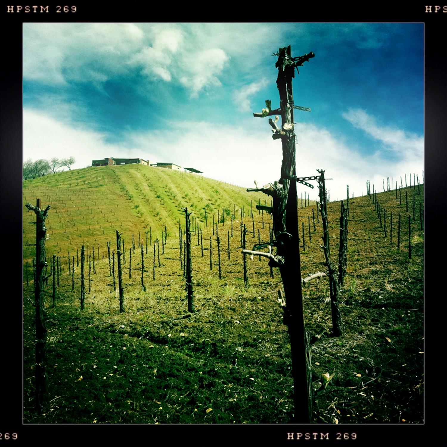 Kukkula Winery by Studio B Architecture + Interiors - Architizer