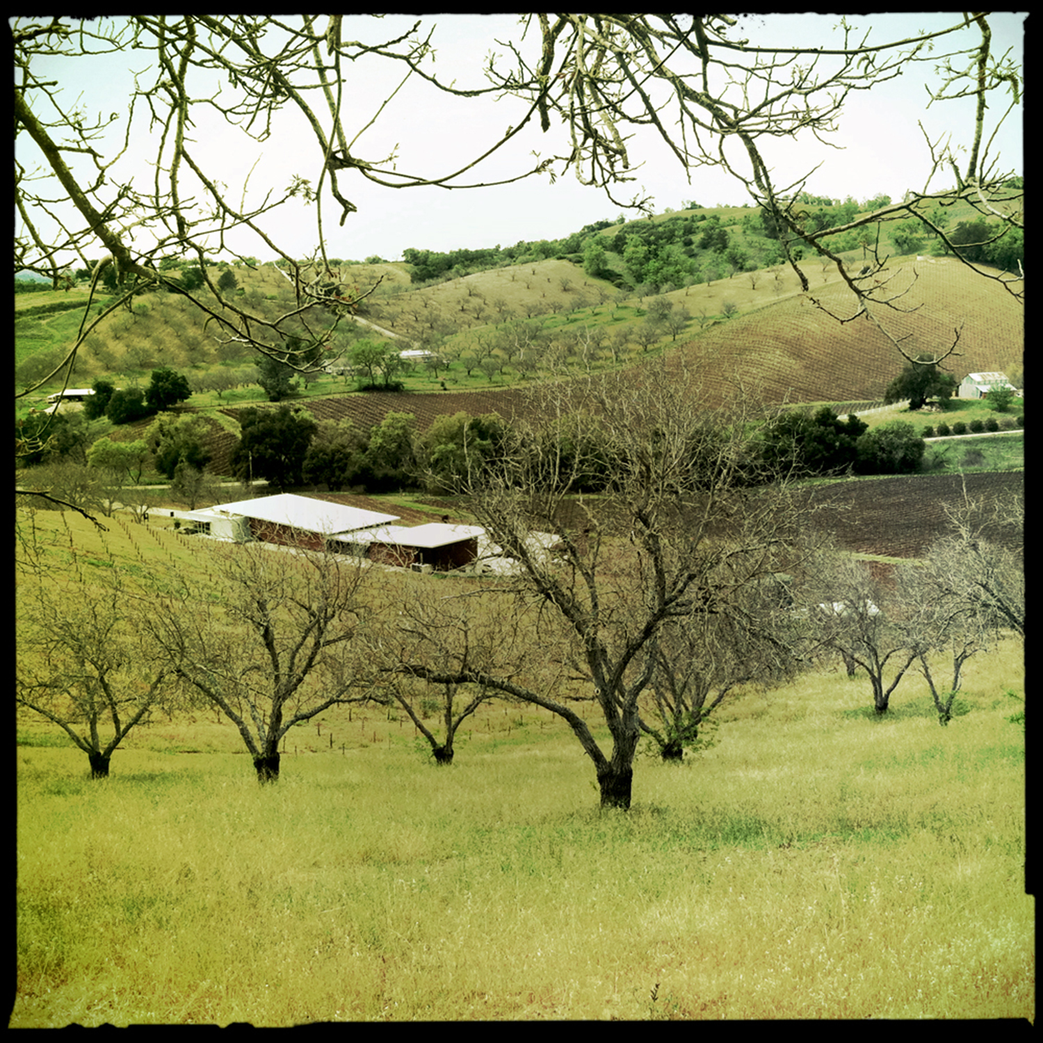 Kukkula Winery by Studio B Architecture + Interiors - Architizer
