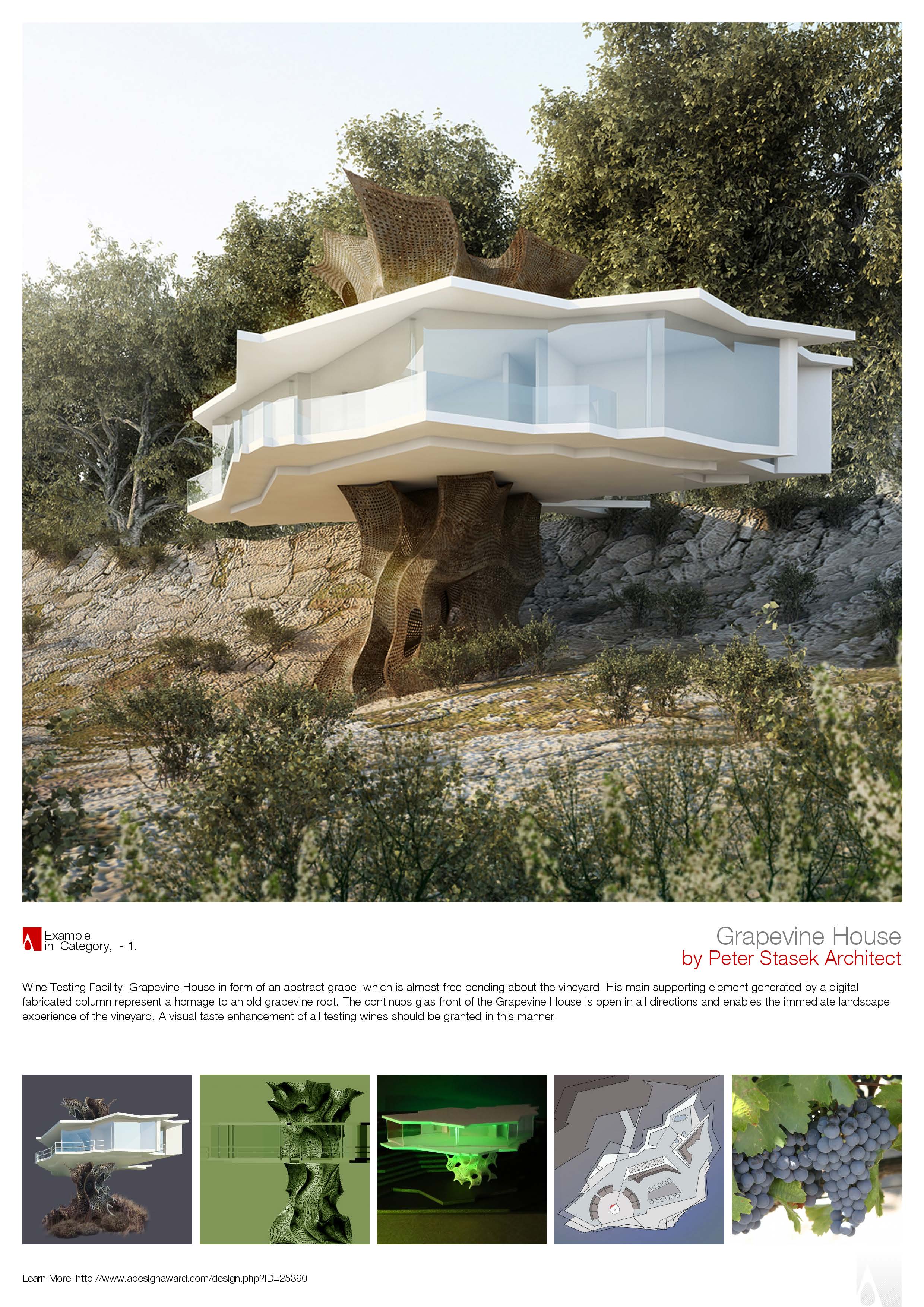 Grapevine House by Peter Stasek Architects - Corporate Architecture ...