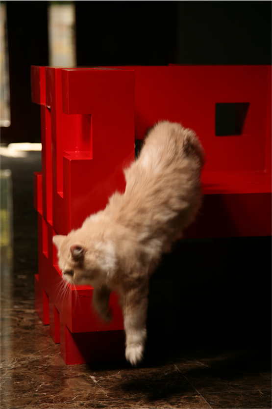 Sofa Design by Azadeh Rahimi - Architizer