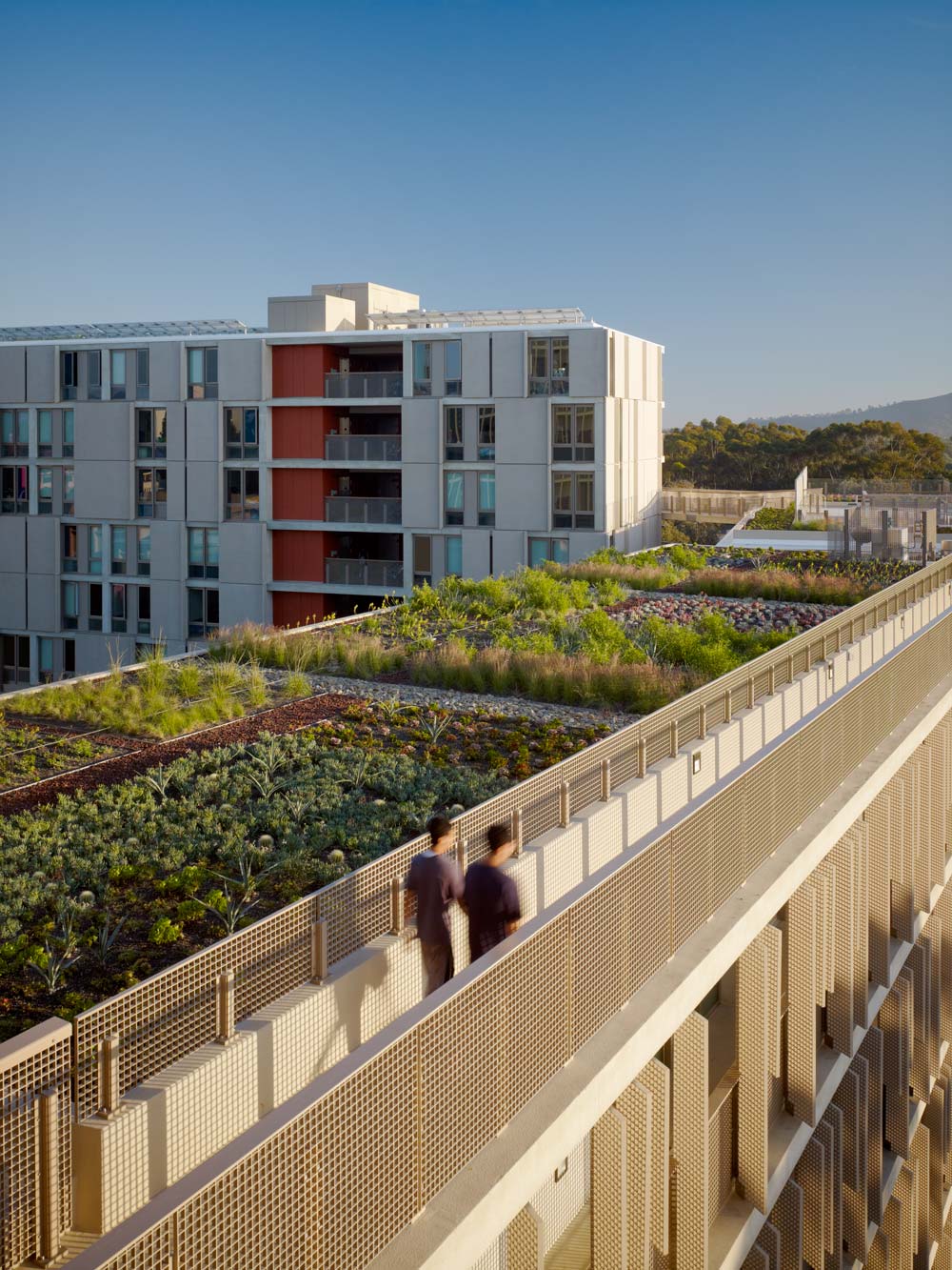 Urban Landscape: UCSD Keeling Apartments by Spurlock Poirier Landscape ...