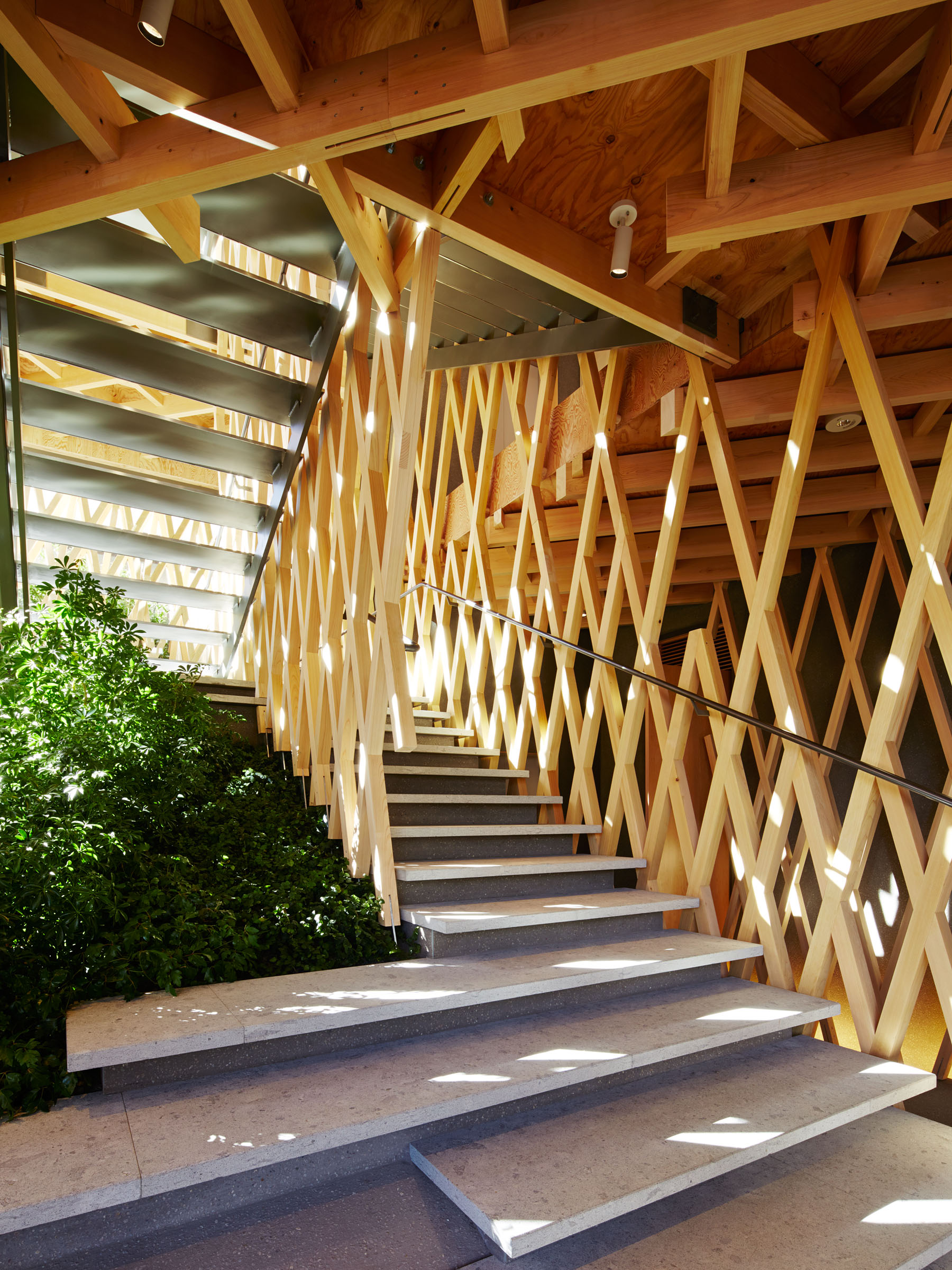 Sunny Hills Tokyo by Kengo Kuma and Associates - Architizer