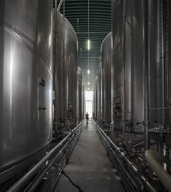 Gran Cruz Cellar by A. Burmester Arquitectos Associados - Architizer