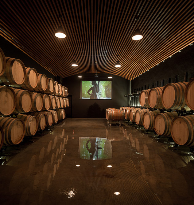Gran Cruz Cellar by A. Burmester Arquitectos Associados - Architizer