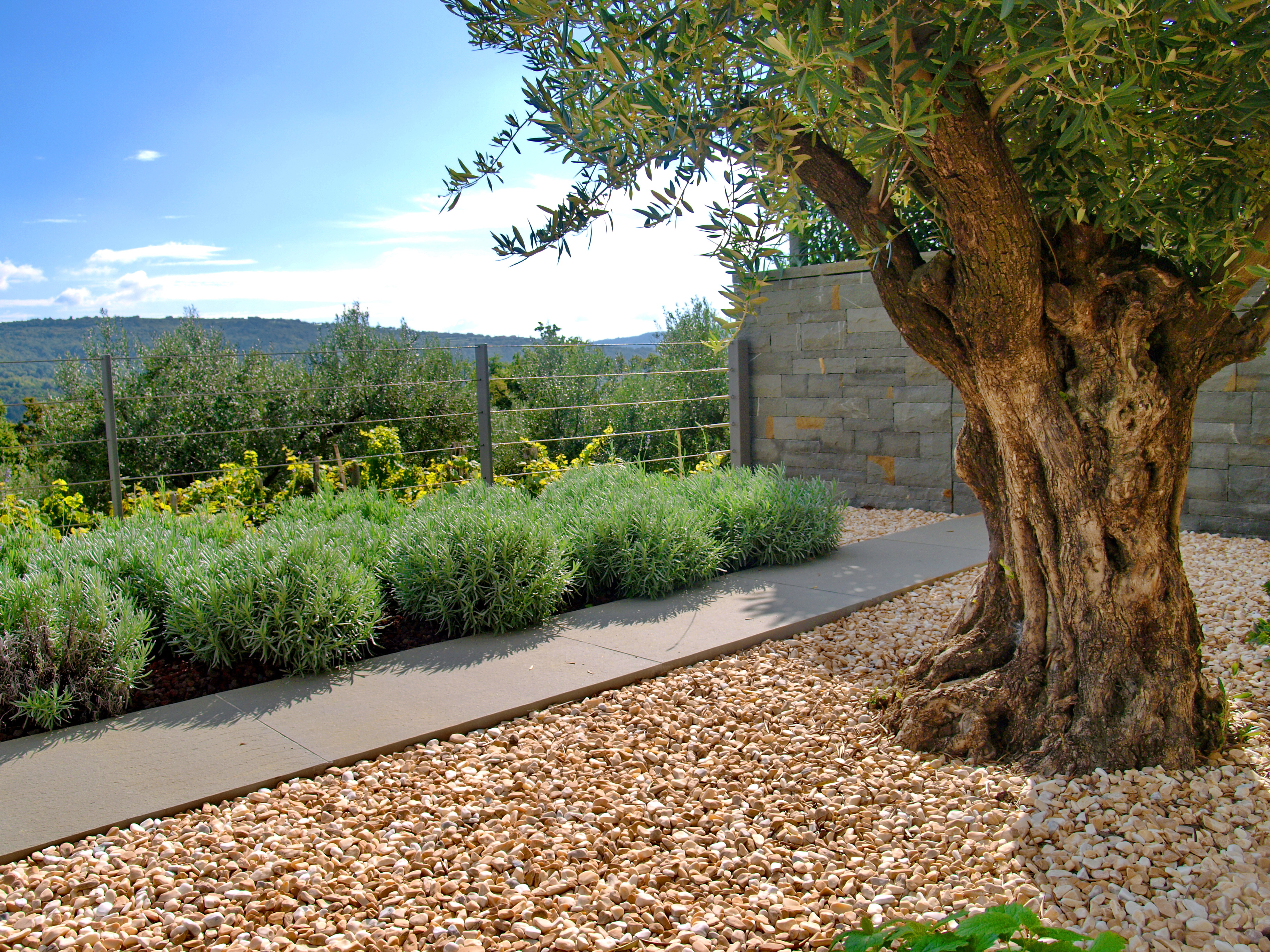 Mediterranean Dream. by Landscape d.o.o. - Architizer