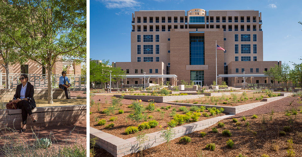 Idea 1058555: Pete V. Domenici Courthouse Sustainable Landscape by RIOS ...