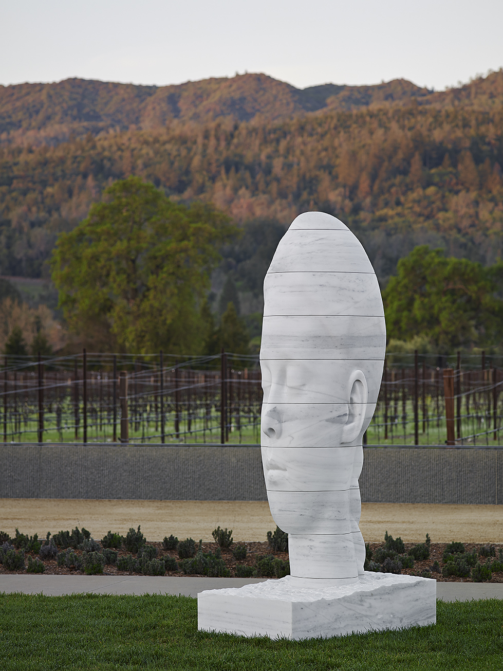 HALL Wines by Signum Architecture - Architizer