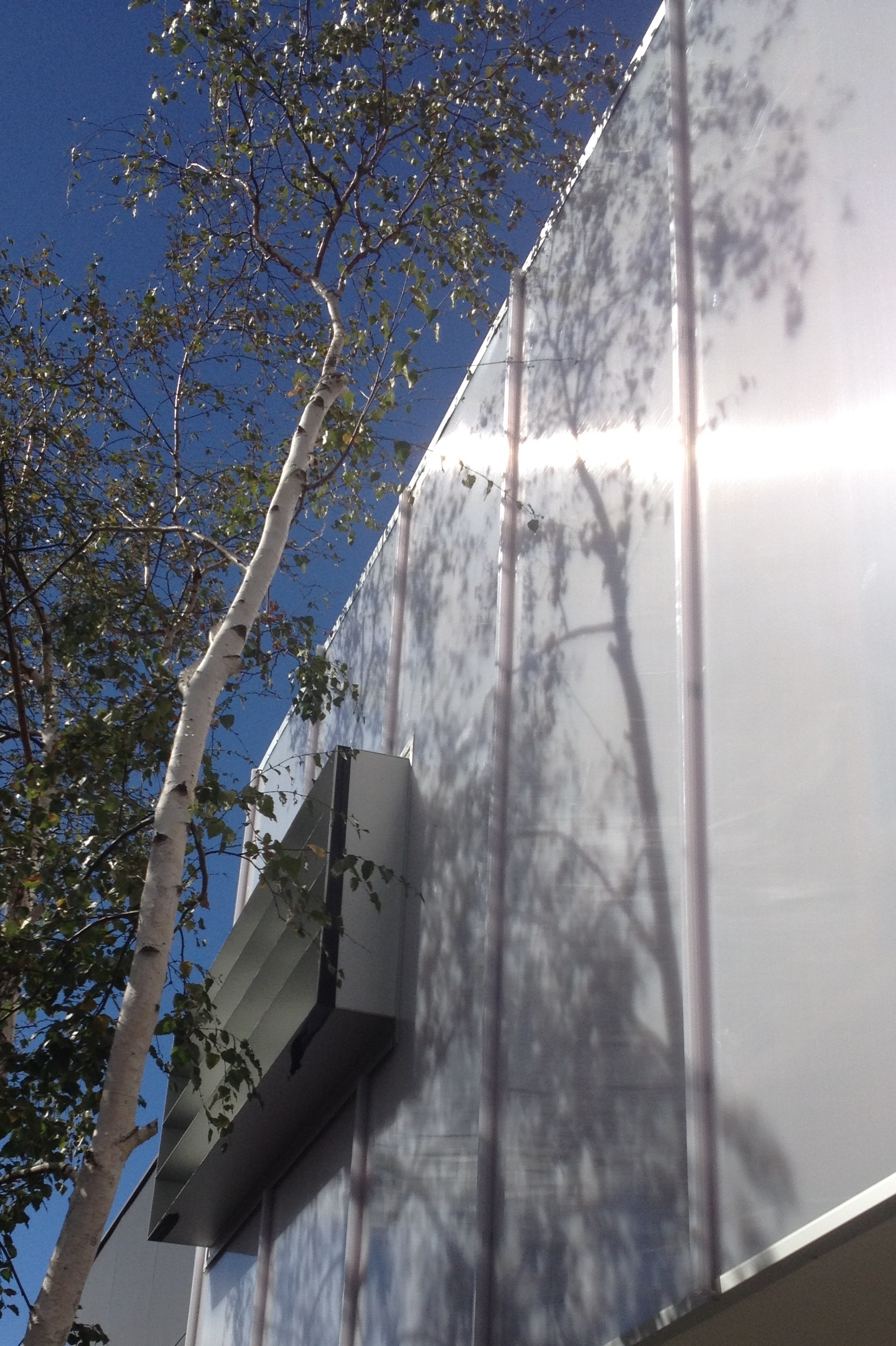 Skin-Box House by mcmahon and nerlich - Architizer