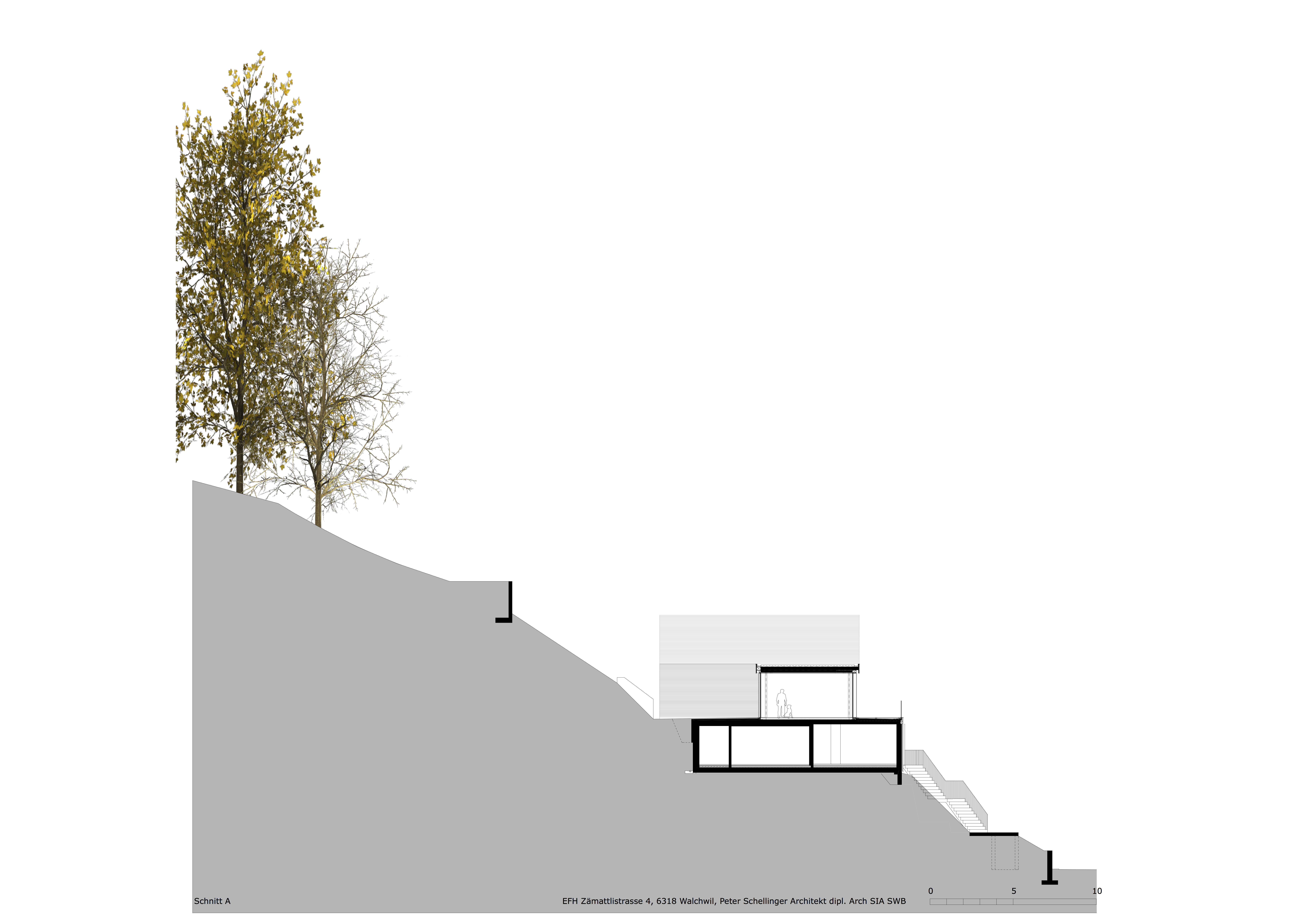 House S by Peter Schellinger Architekt SIA SWB - Architizer