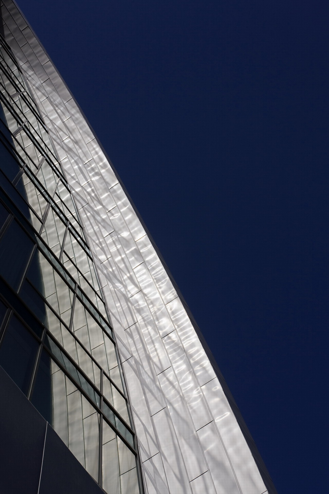 Graphisoft Park, IBS Residence Hall by Vikar and Lukacs Architects ...