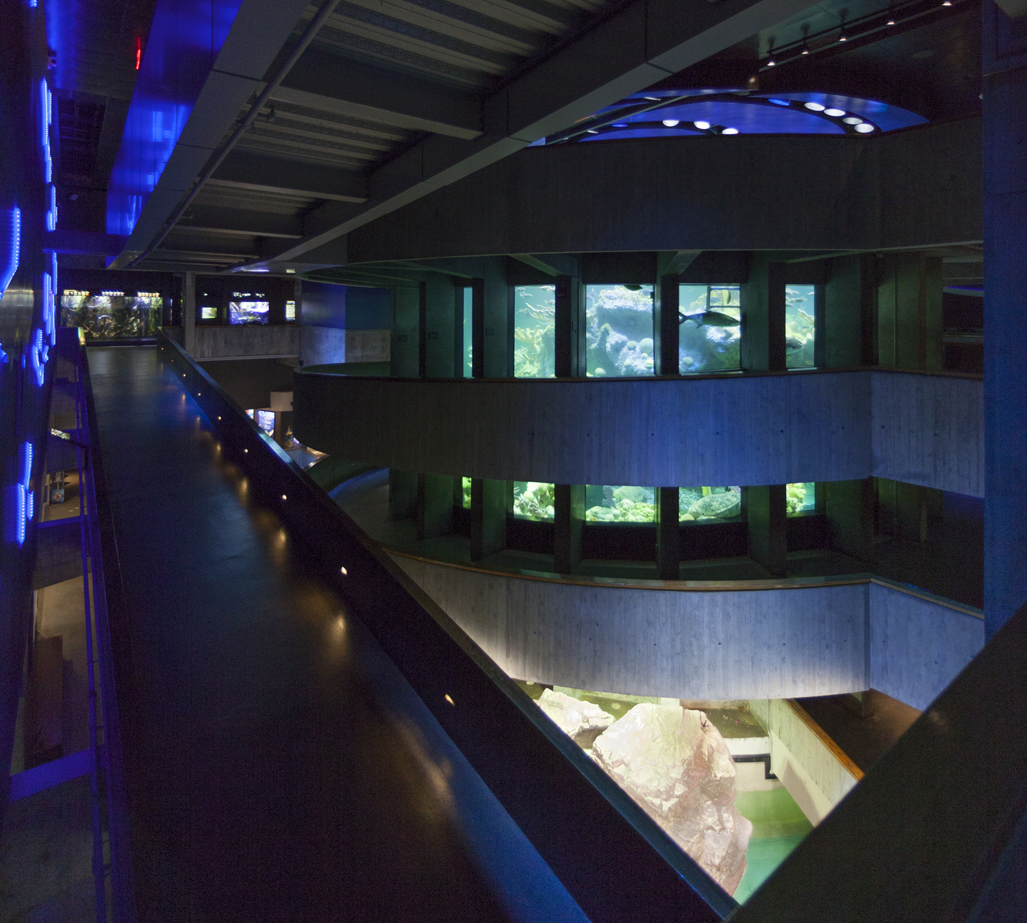New England Aquarium Giant Ocean Tank by CambridgeSeven - Architizer