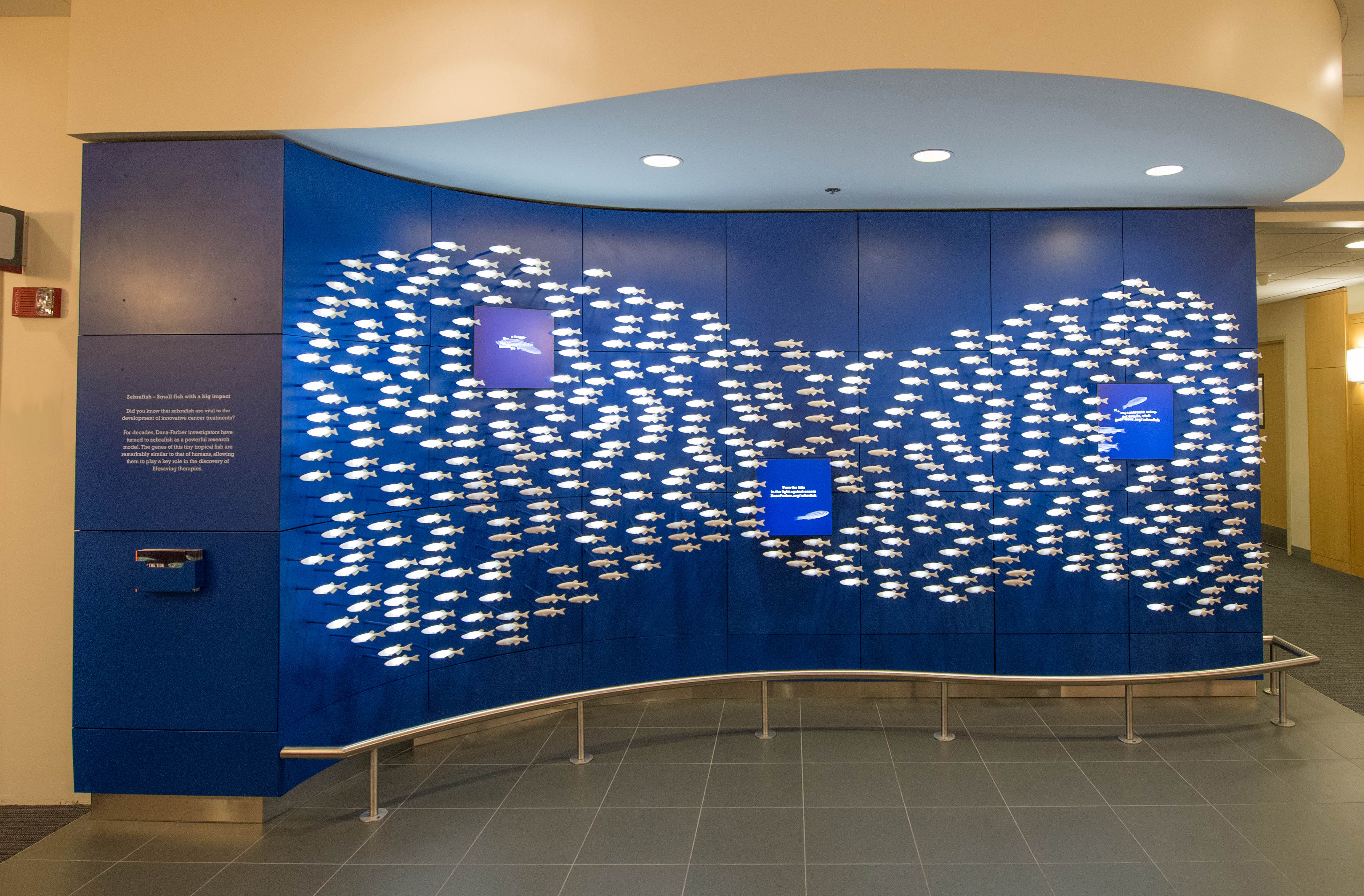 Zebrafish Interactive Donor Wall by Hypersonic - Architizer