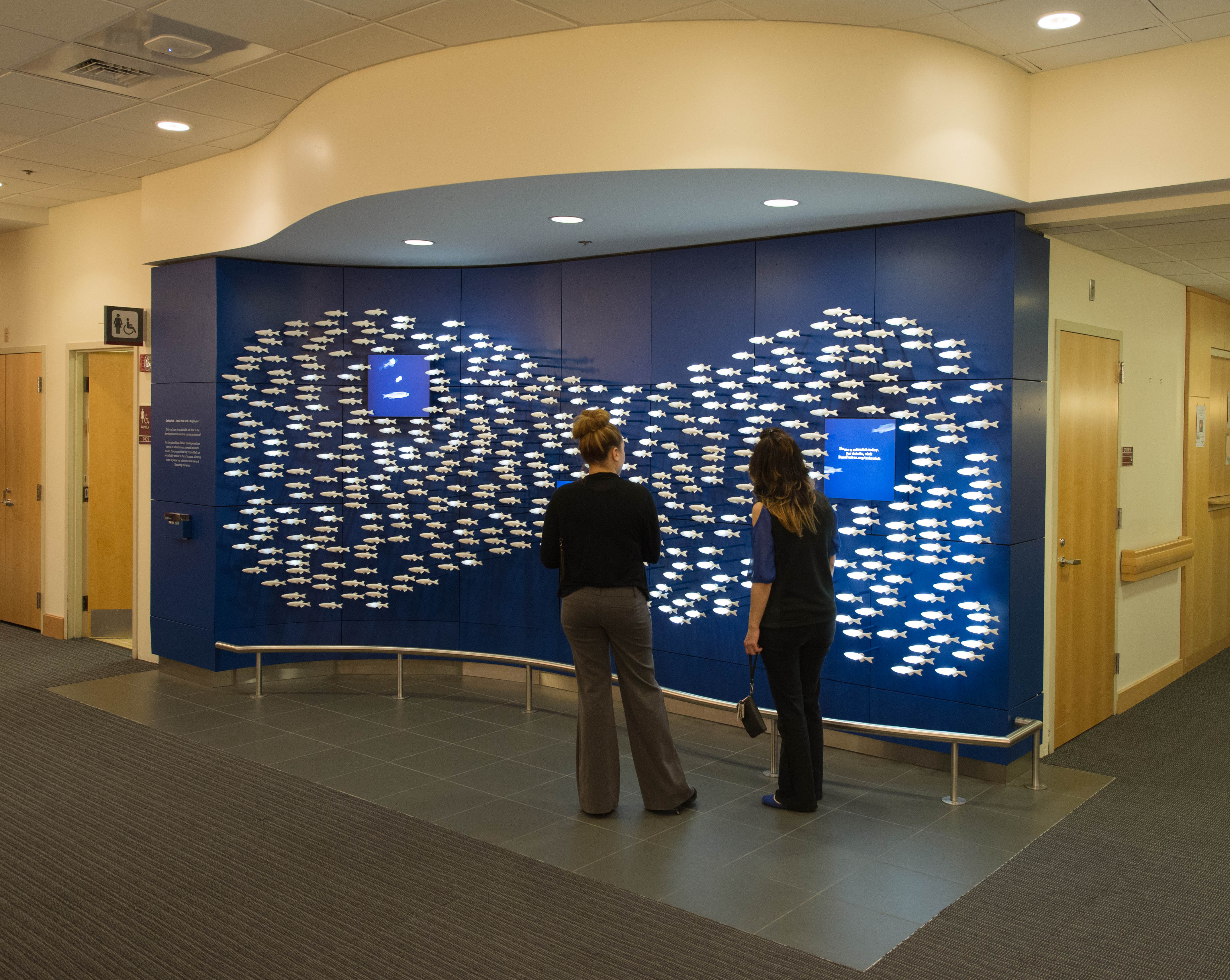 Zebrafish Interactive Donor Wall by Hypersonic - Architizer