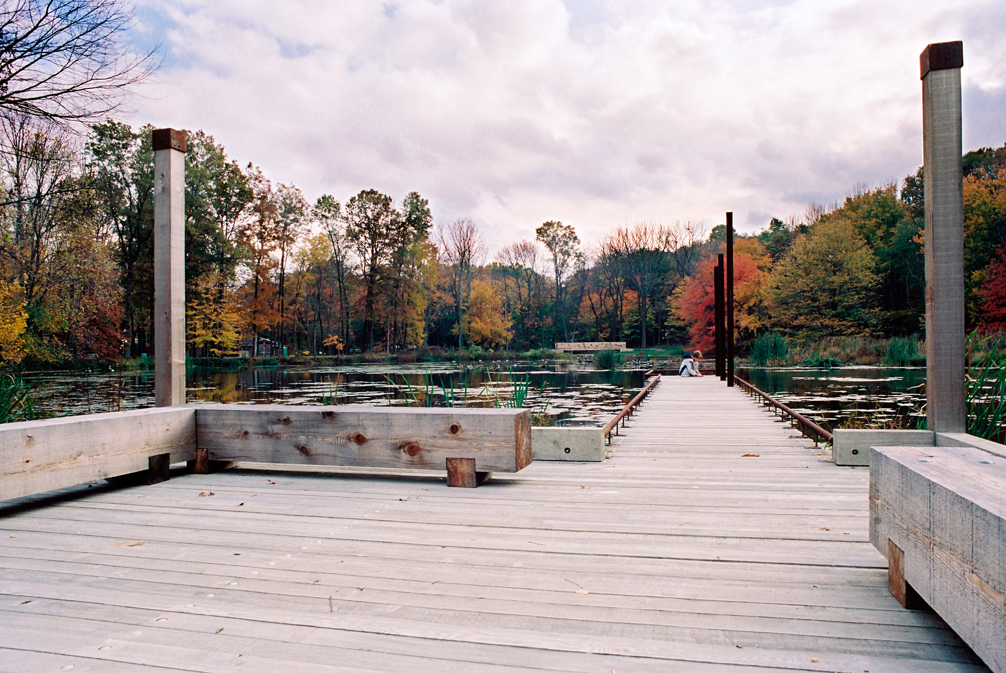 Foote's Pond Wood by PLANT Architect Inc. - Architizer