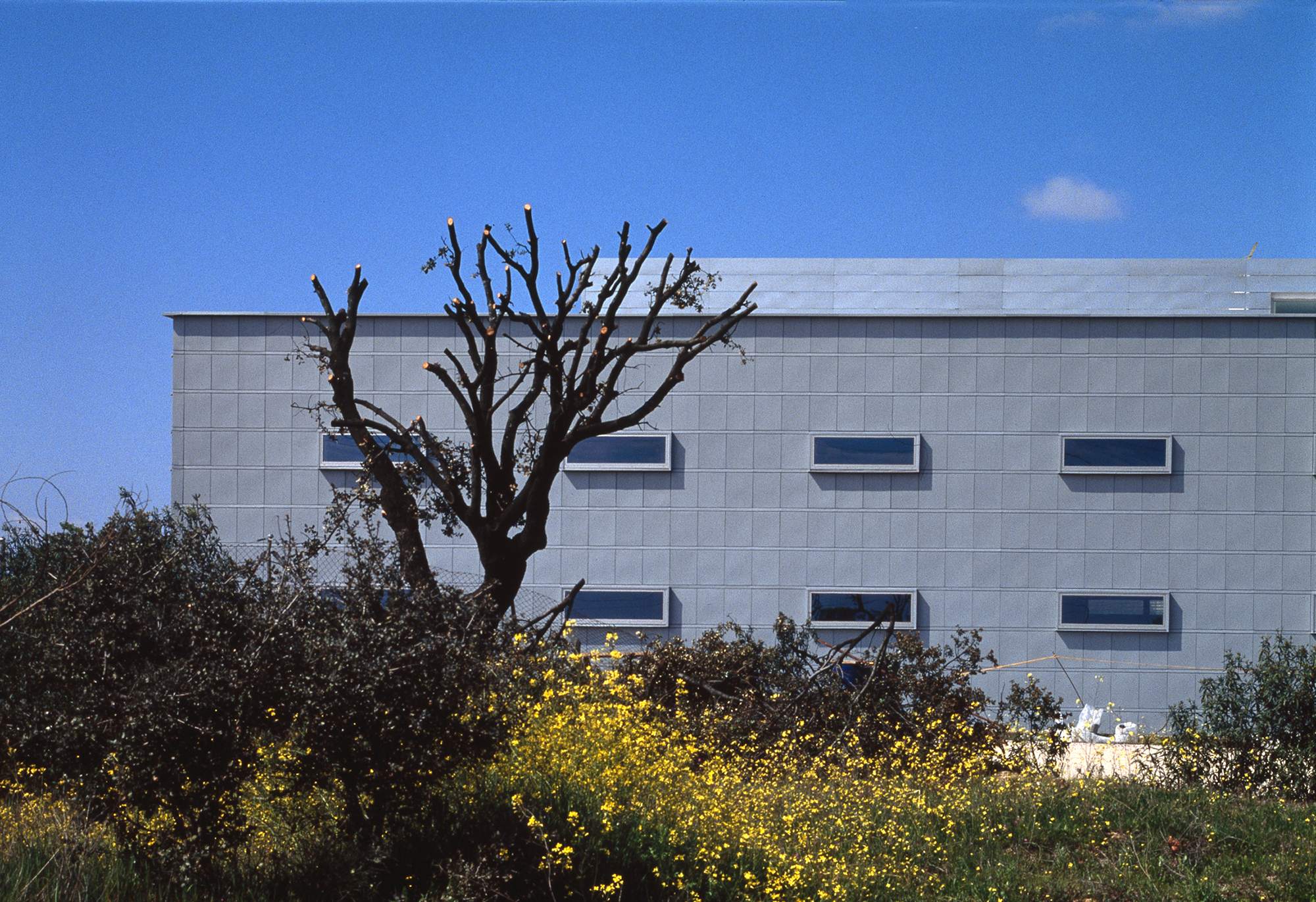 CEU POLYTECHNIC BUILDING by Virseda & Vila Architects - Architizer