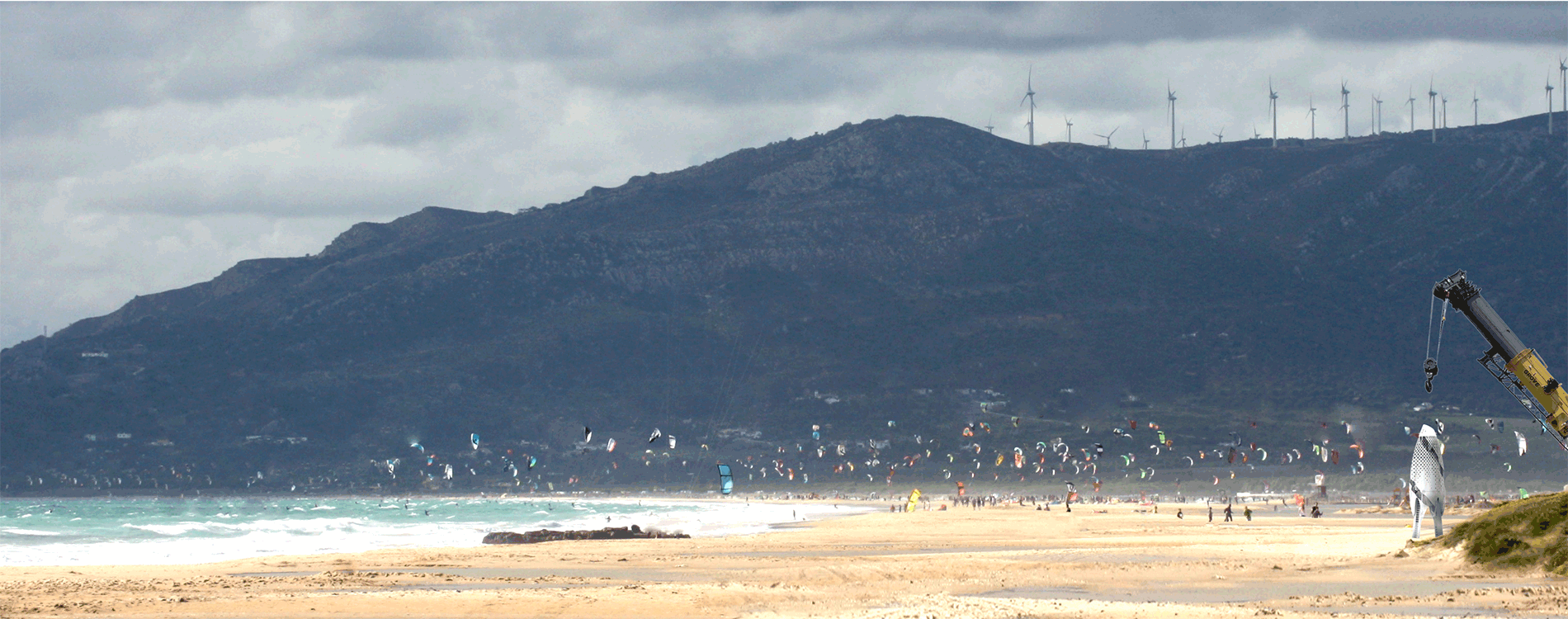 Surftopia by Producto Camarena - Architizer