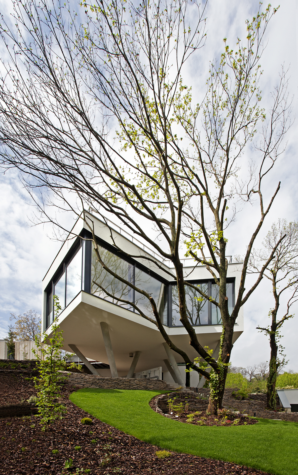 House between the trees by Architekti Šebo Lichý - Architizer