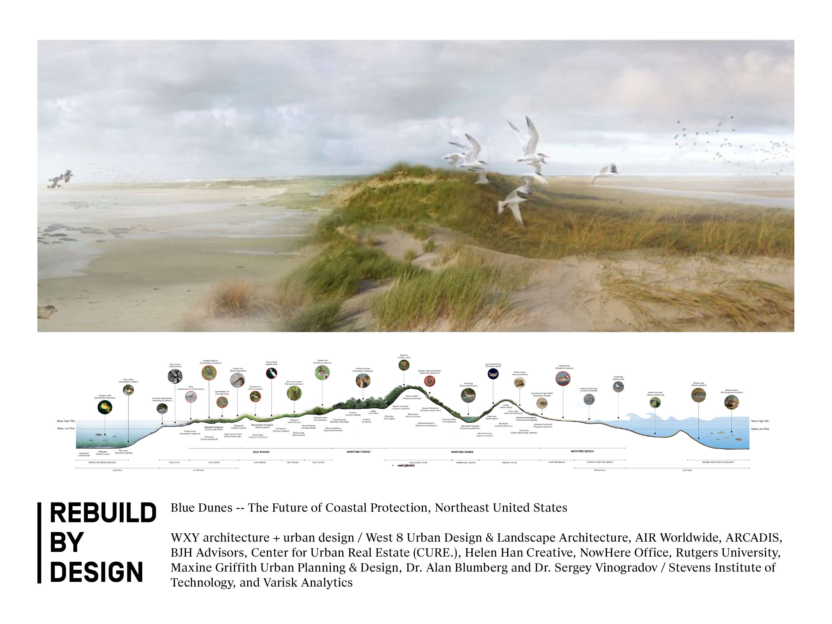Rebuild by Design by Rebuild by Design - Architizer