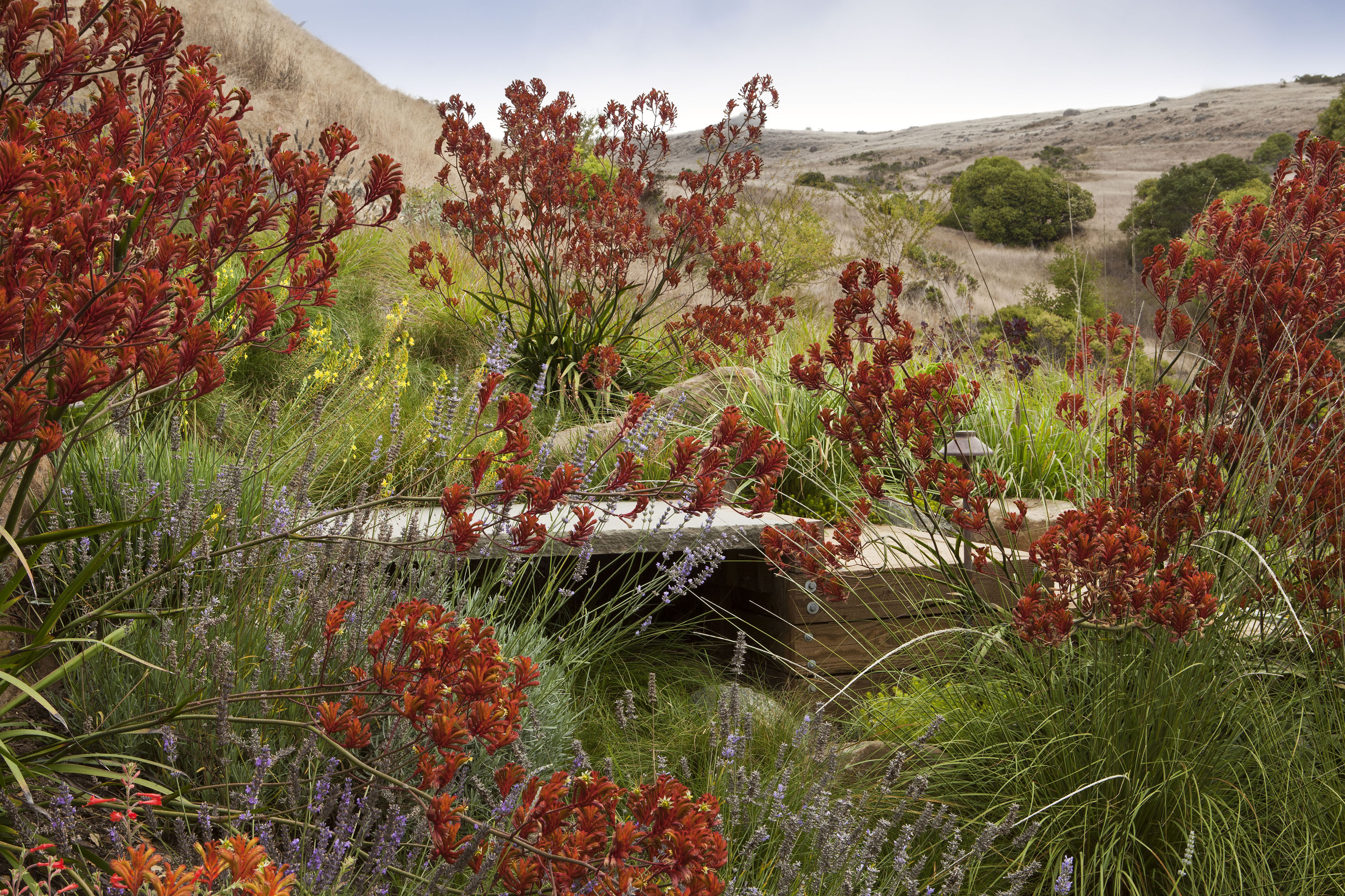 The Painterly Approach by Arterra Landscape Architects - Architizer