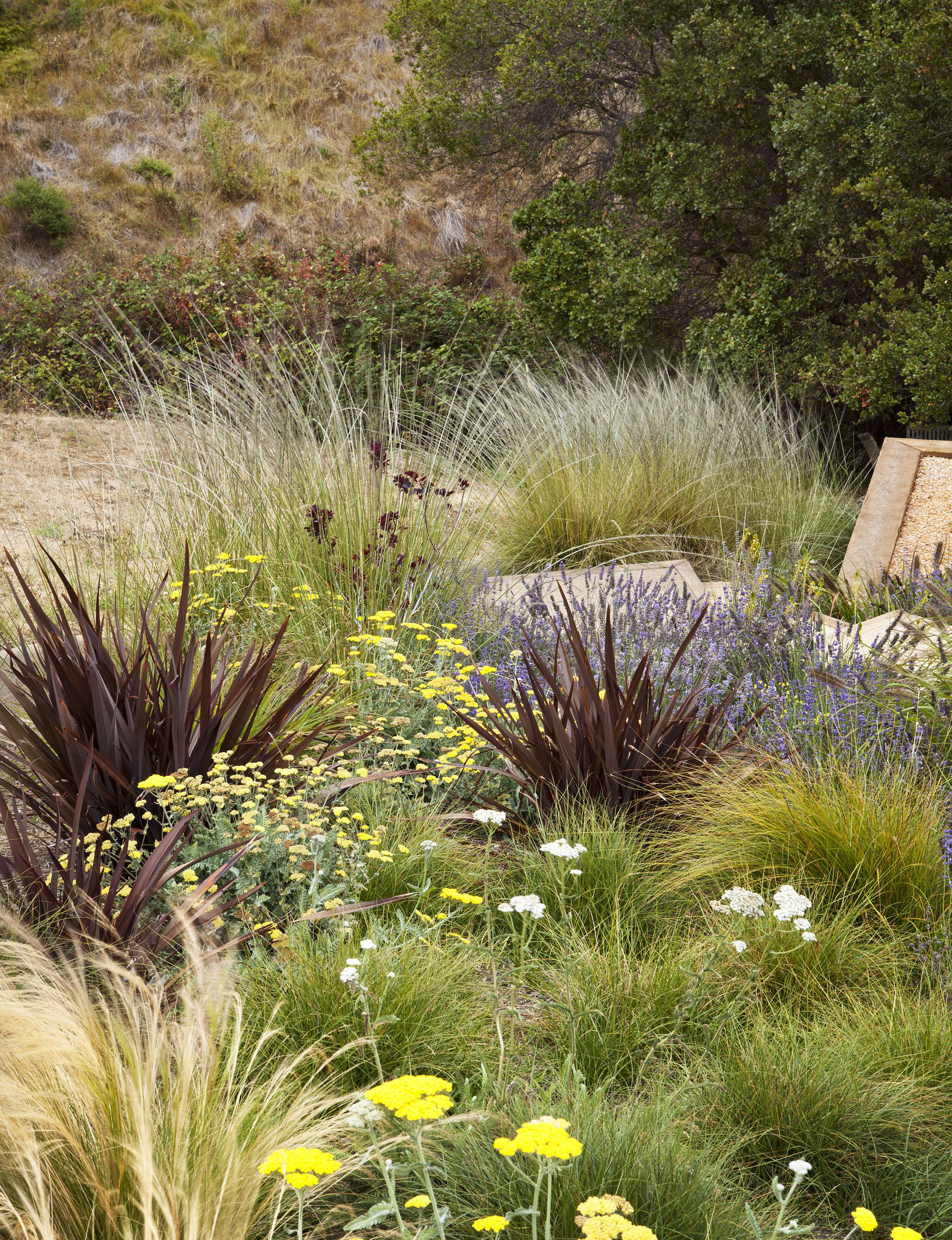 The Painterly Approach by Arterra Landscape Architects - Architizer