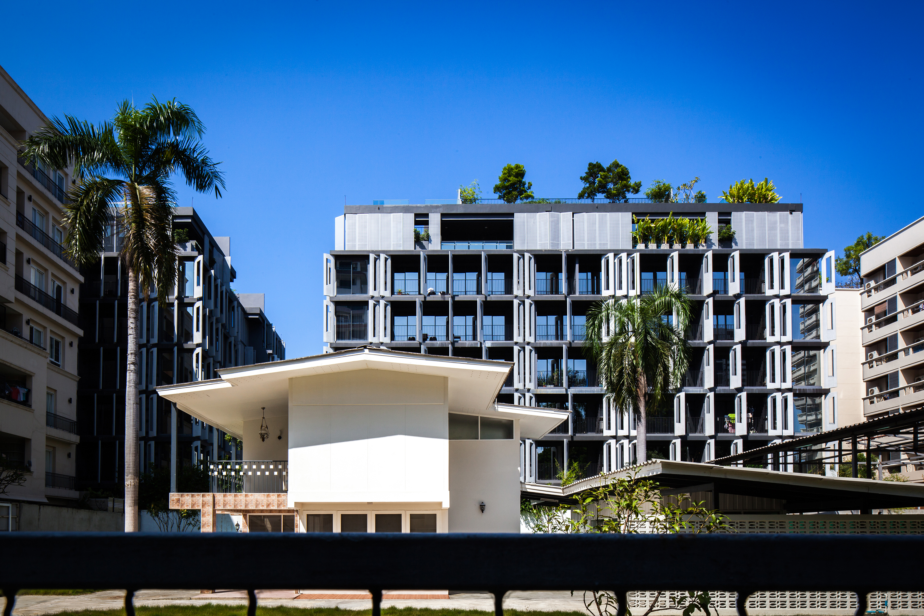 Siamese Gioia by Somdoon Architects - Architizer