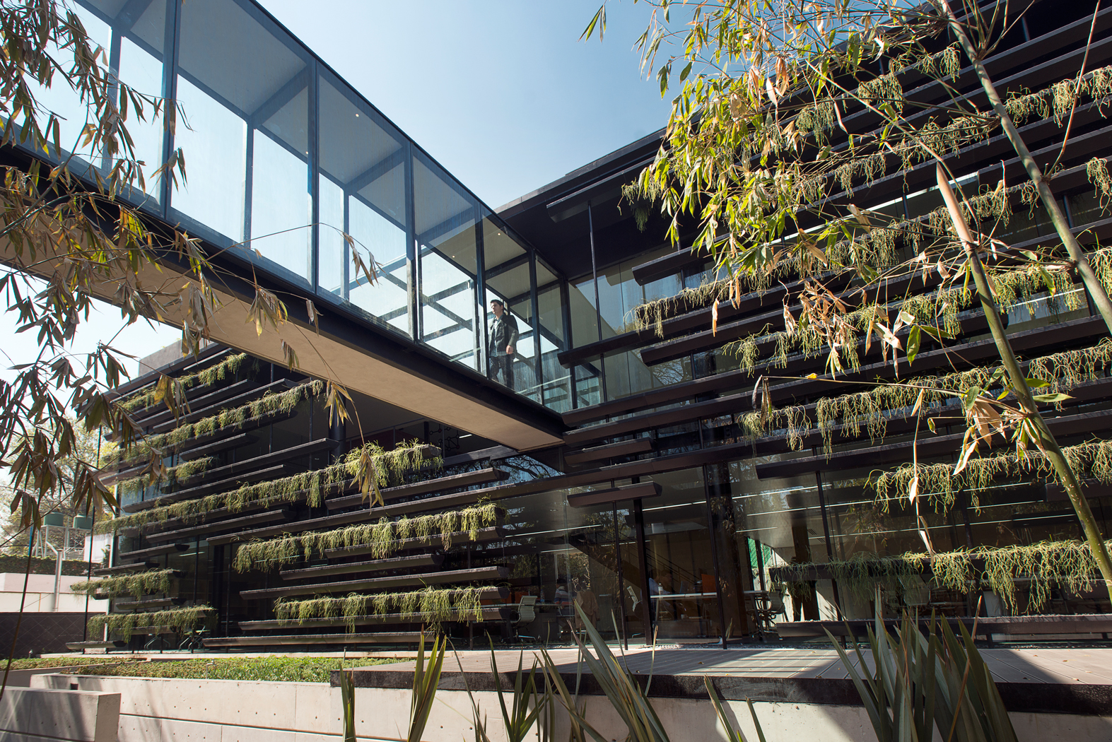 Falcon Headquarters by Rojkind Arquitectos - Architizer