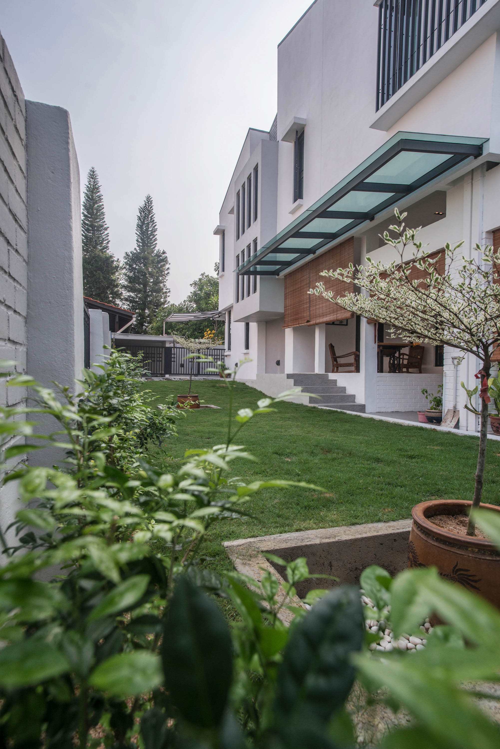 REJUVENATION by Code Red Studio - Architizer