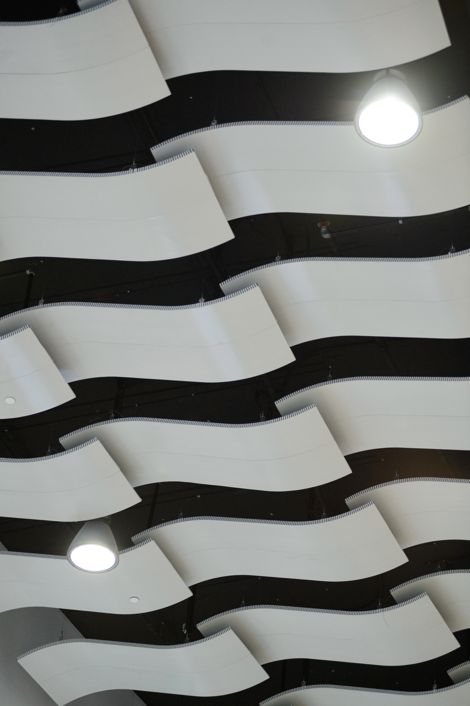 Pais Arena Jerusalem by Spector-Amisar Architects - Architizer