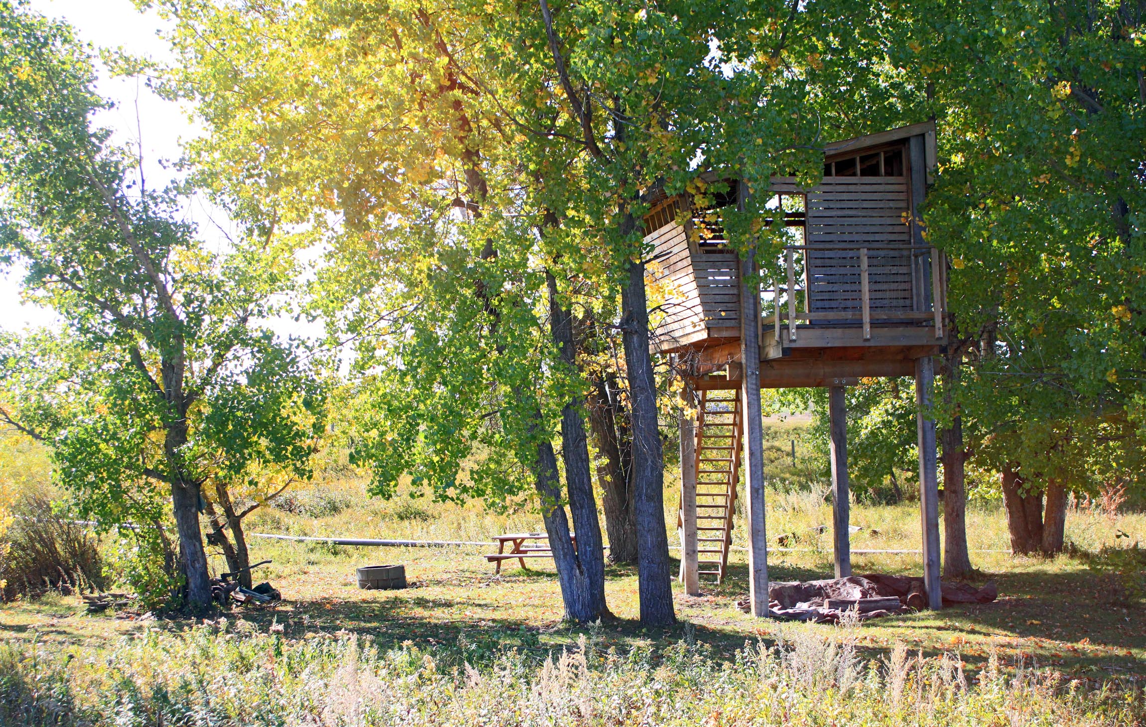 Treetop House by 010110 | Architecture + Urbanism - Architizer