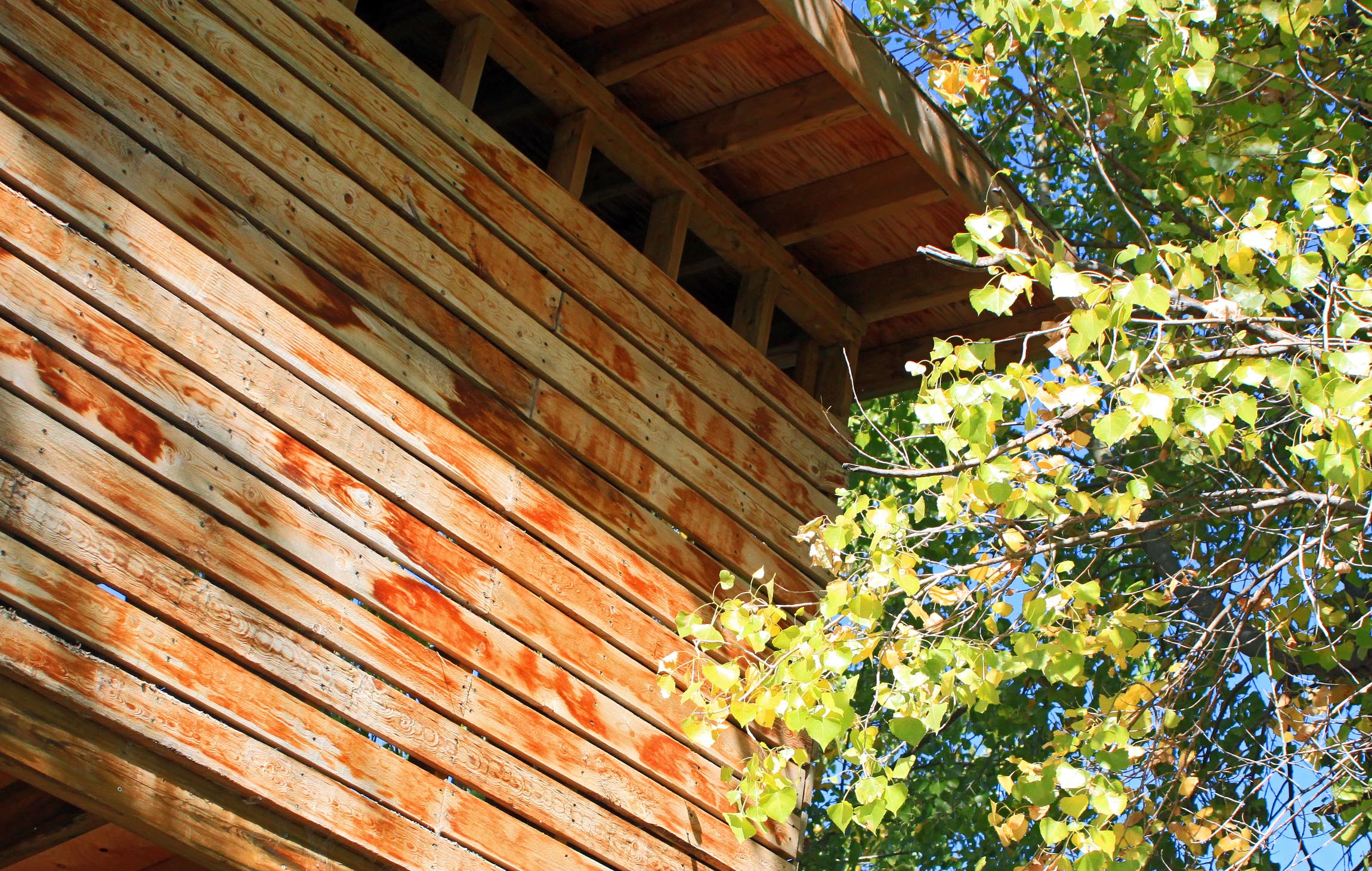 Treetop House by 010110 | Architecture + Urbanism - Architizer