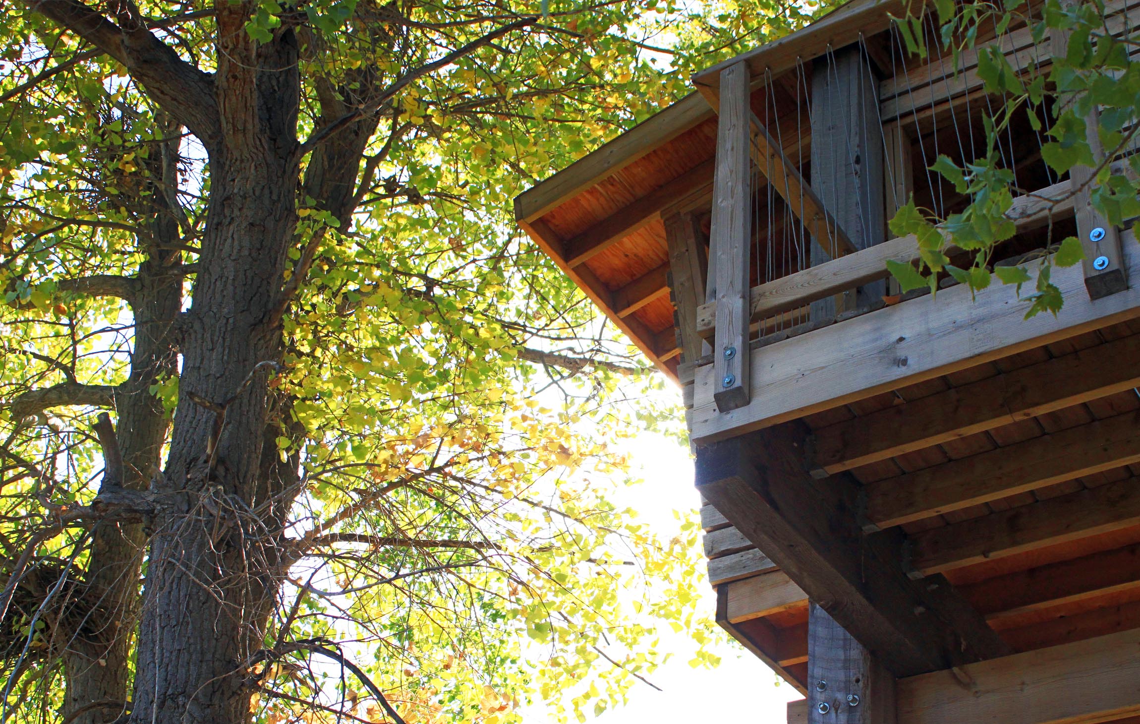 Treetop House by 010110 | Architecture + Urbanism - Architizer