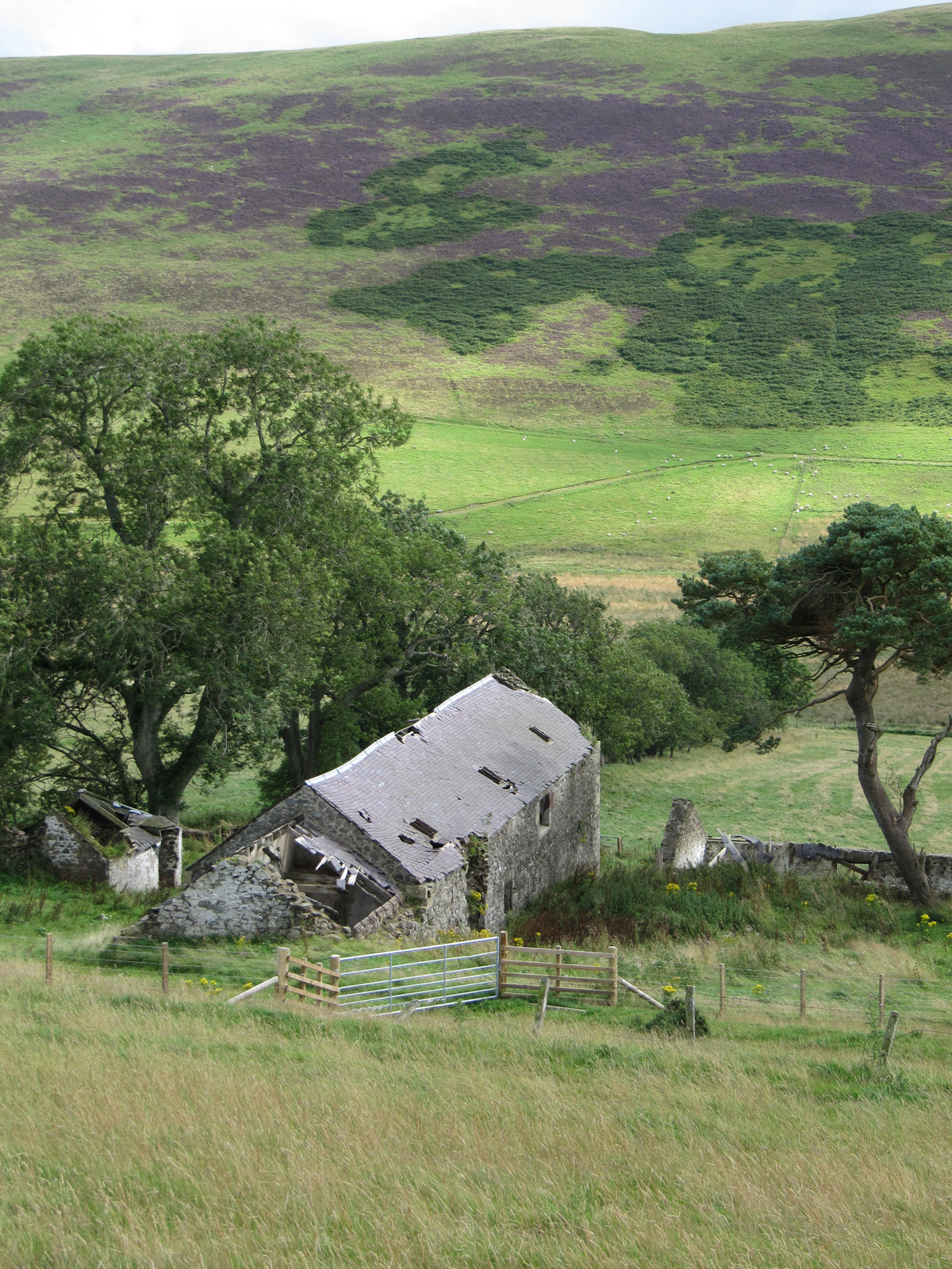 The Mill, Scottish Borders by WT Architecture - Architizer
