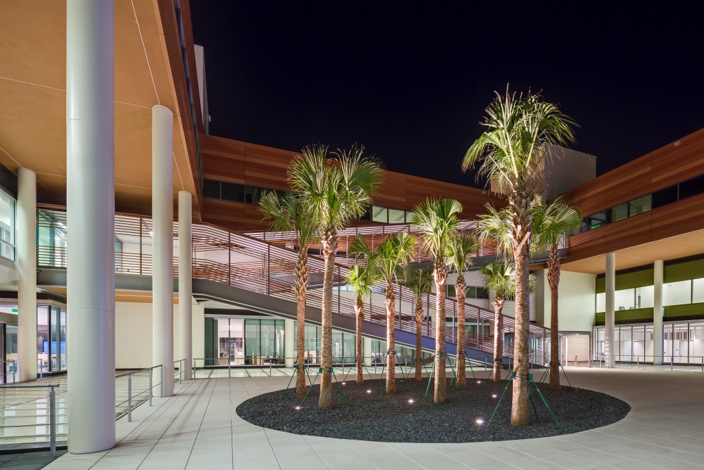 Darla Moore School of Business by Rafael Vinoly Architects - Architizer