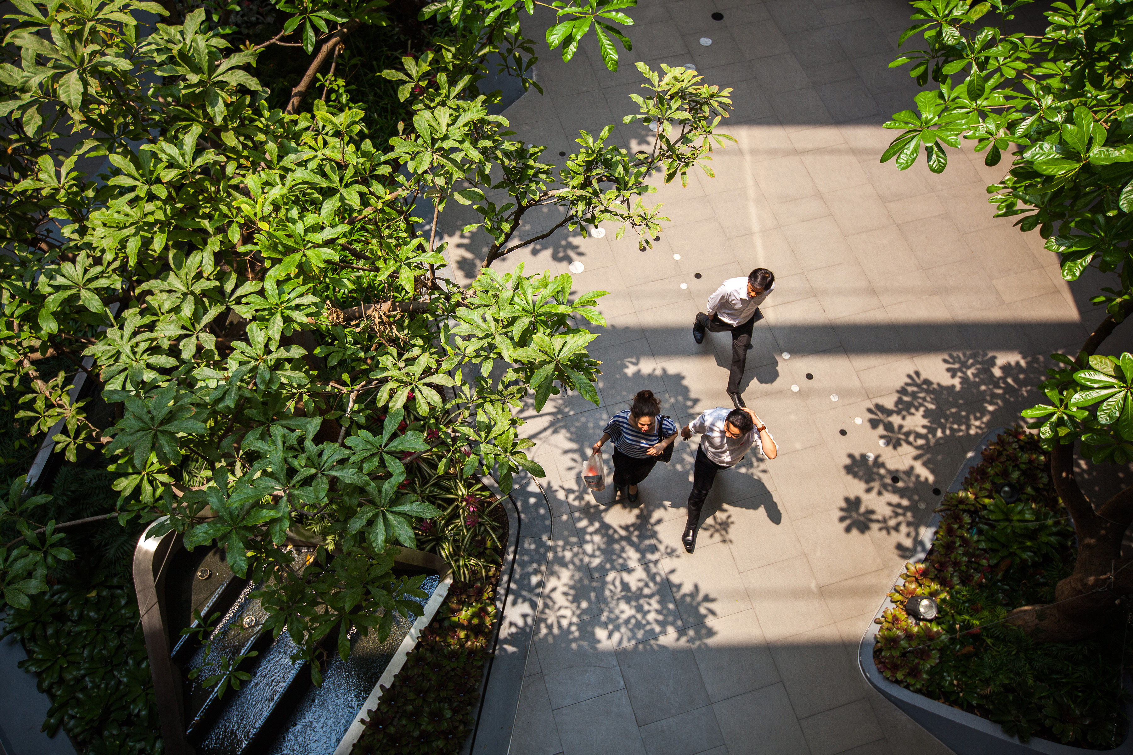 Walk of the Town : The landscape architectural design at Groove Bars ...