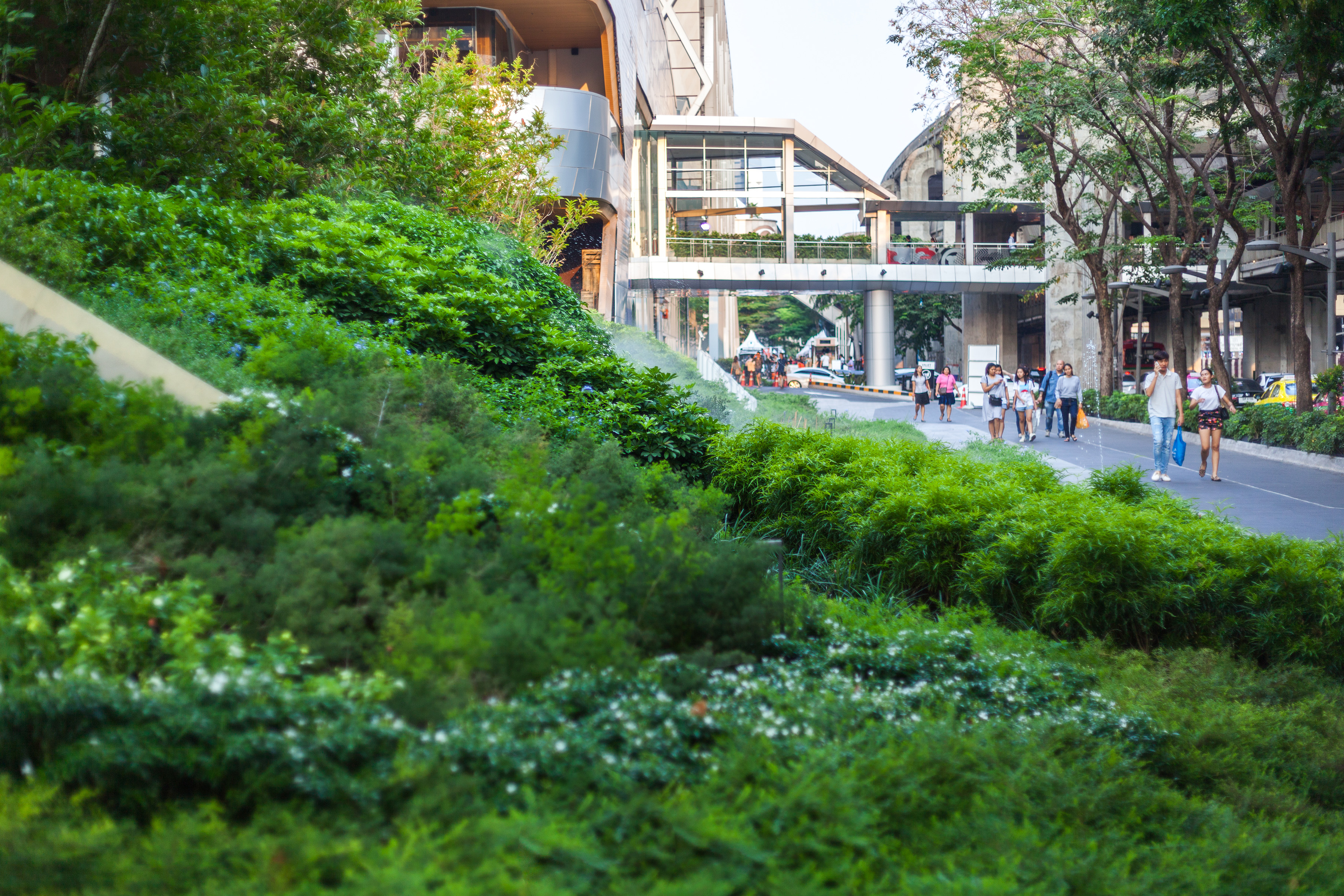 Walk of the Town : The landscape architectural design at Groove Bars ...