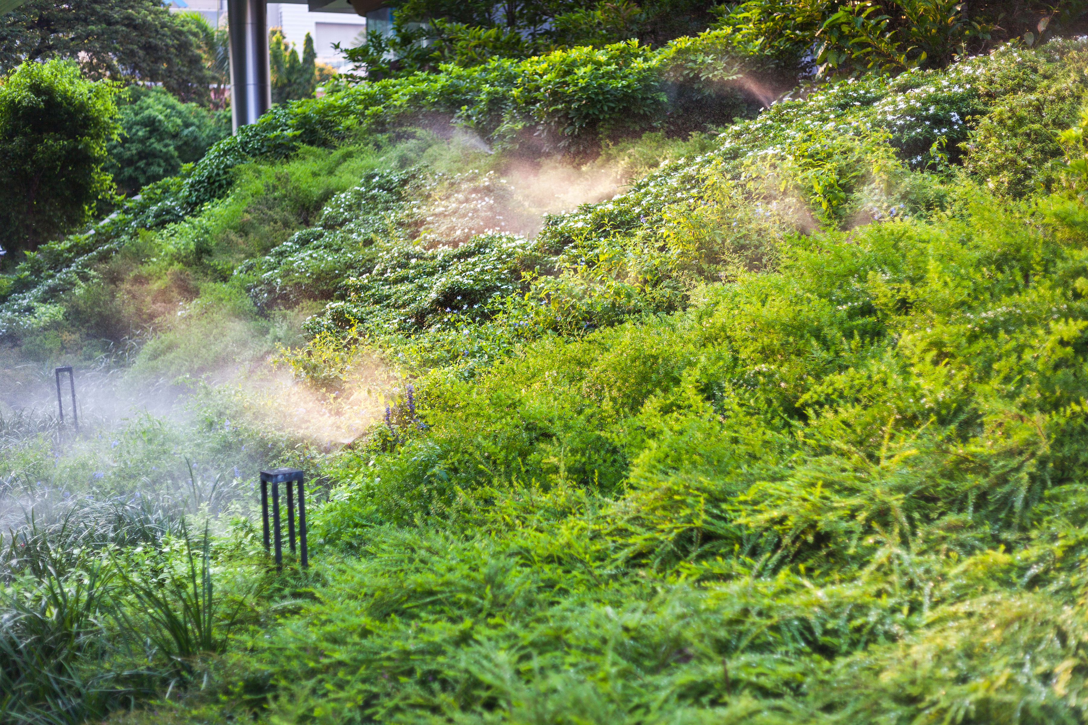 Walk of the Town : The landscape architectural design at Groove Bars ...