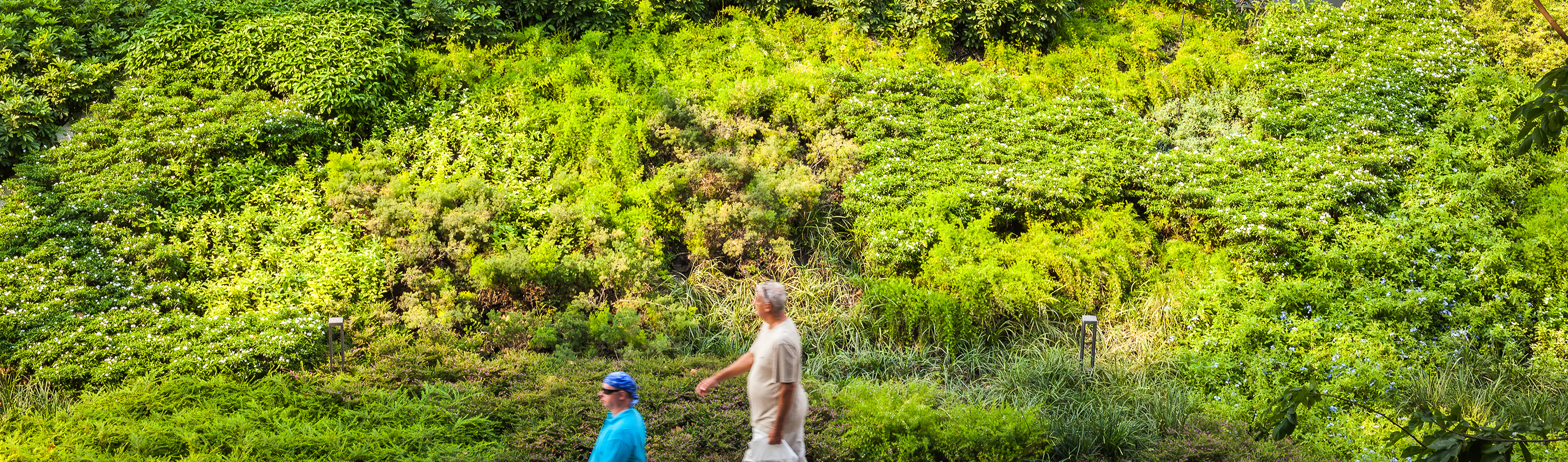 Walk of the Town : The landscape architectural design at Groove Bars ...