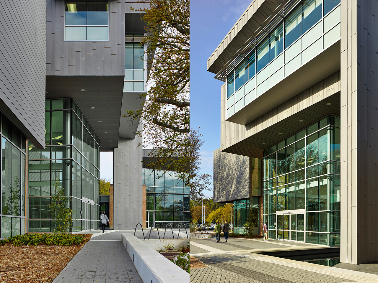 New Main Library at Goodwood by Tipton Associates, APAC - Architizer