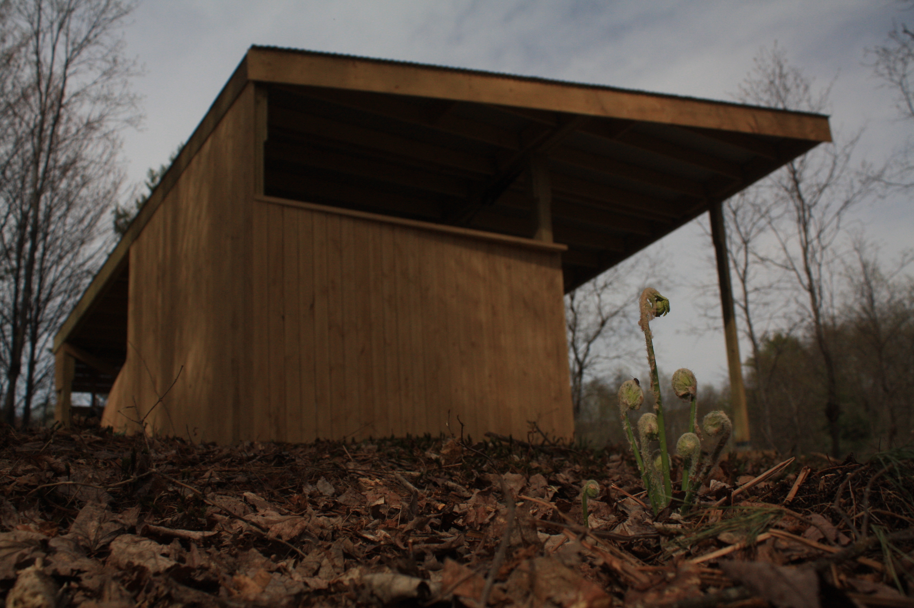 The Dutch Angle Classroom by Norwich University Design / Build - Architizer