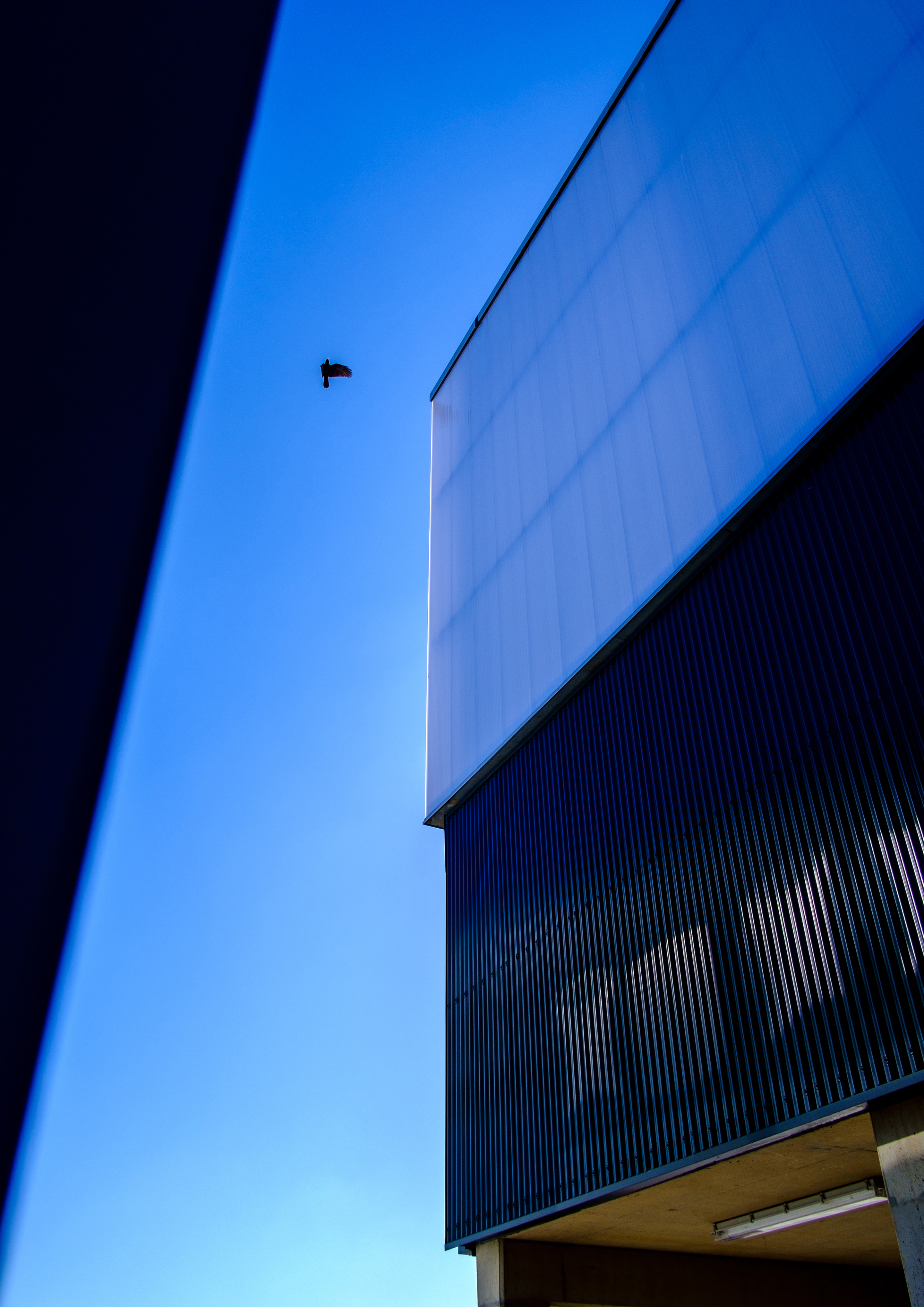 Haydon School Activity Hall by Nick Baker Architects - Architizer