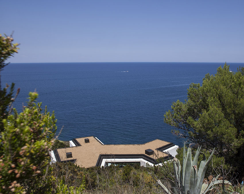 Sunflower House - Architizer