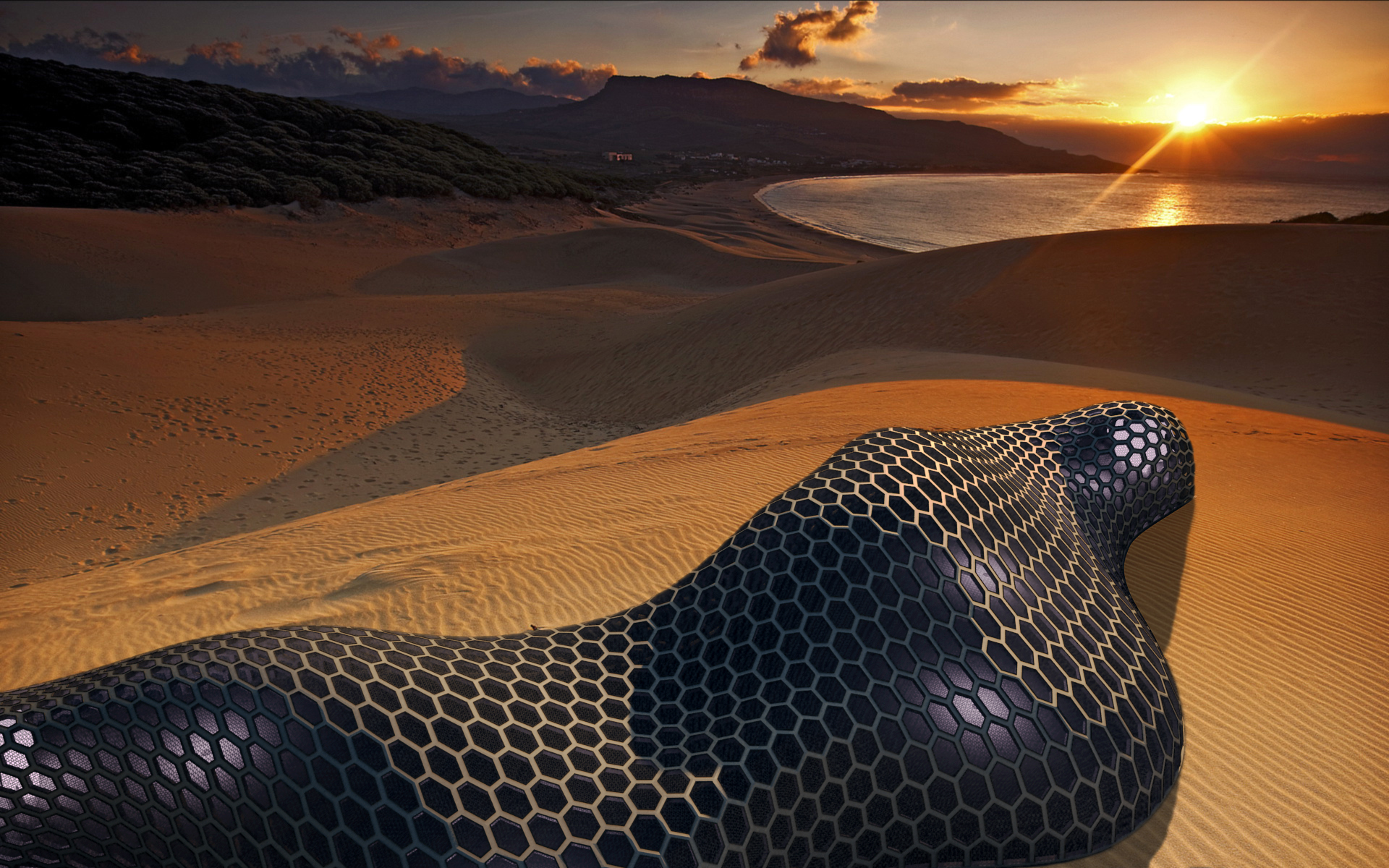 The Hive pavilion by Rabatanalab - Architizer