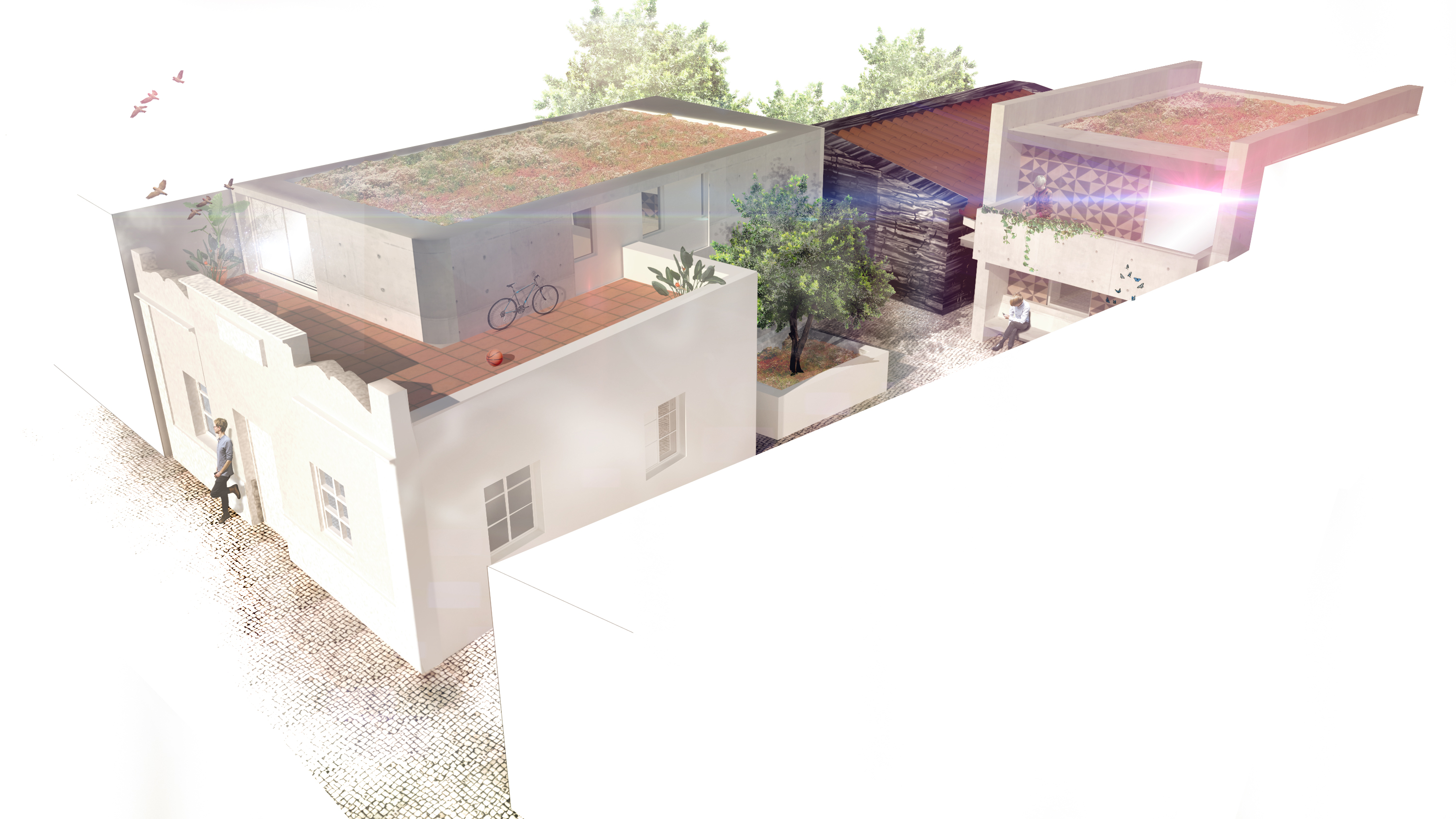 Acosta double house by Donacio Cejas Arquitectura - Architizer