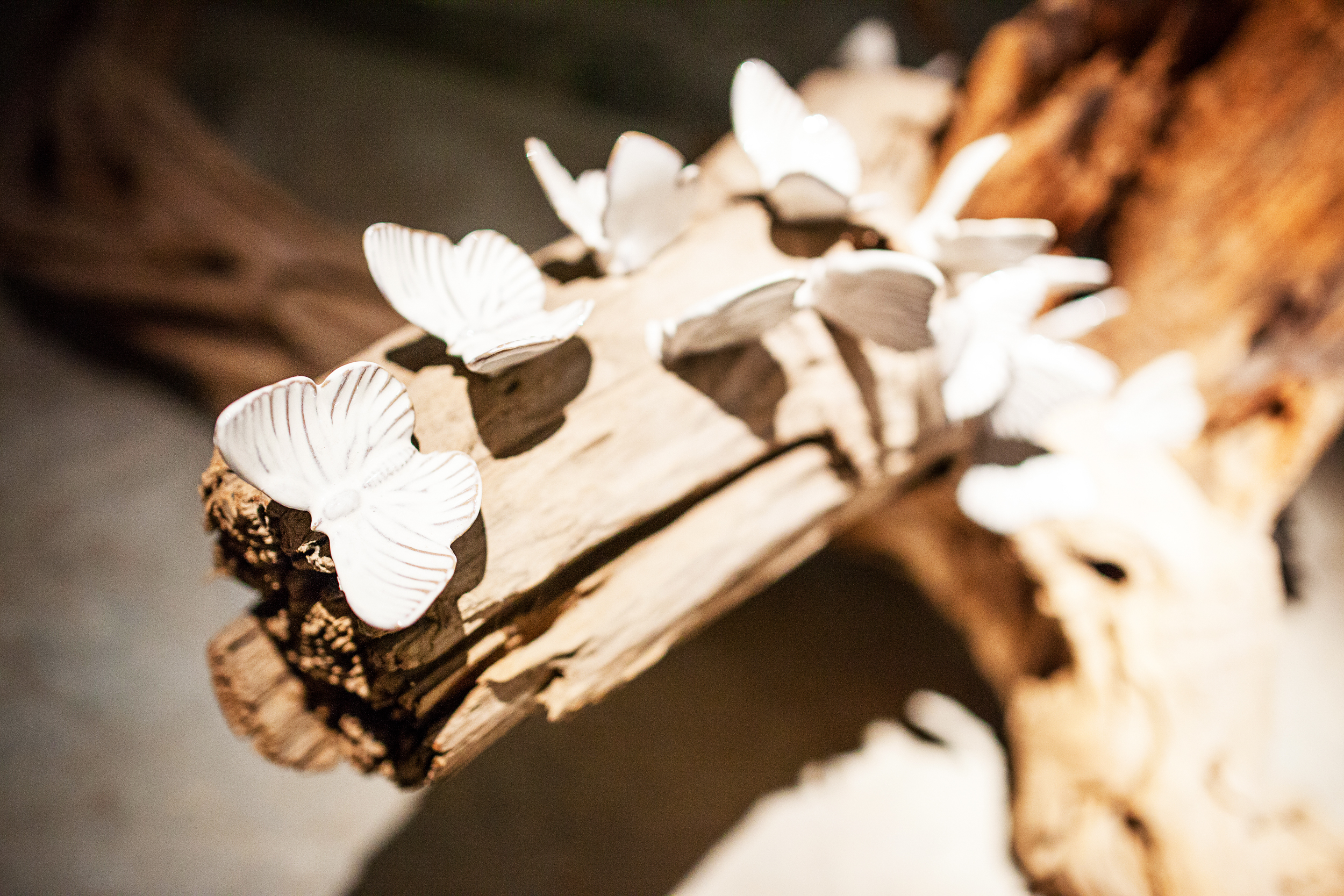 VIVARIUM by HYPOTHESIS - Architizer